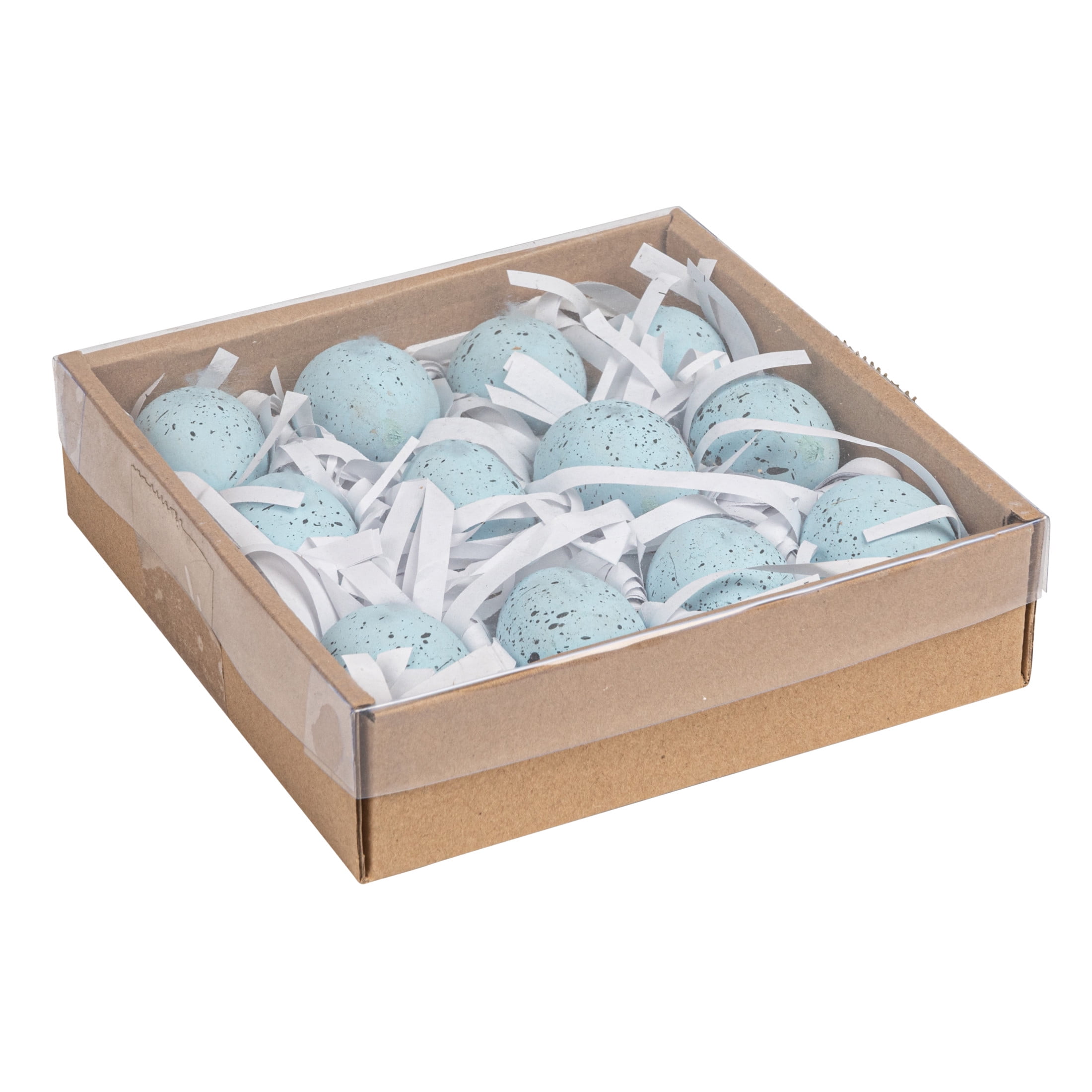 Blue Eggs Robin