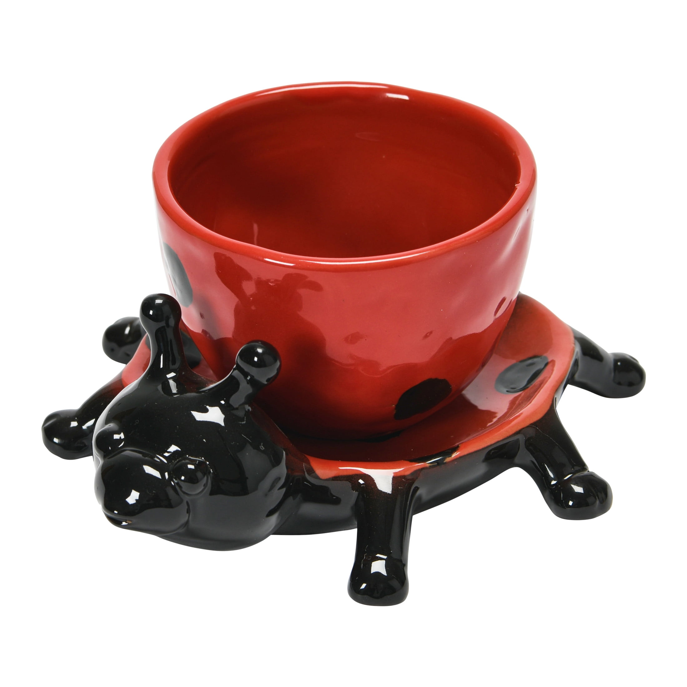 Creative Co-Op Decorative Stoneware Ladybug Planter with Saucer and ...