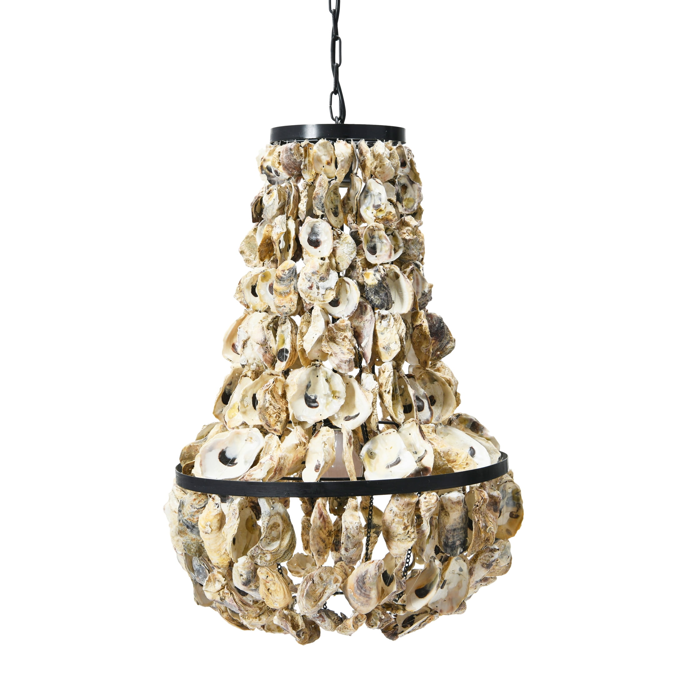 Creative Co-Op Metal and Draped Oyster Shell Chandelier, Black and ...