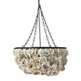 Creative Co-Op Metal & Oyster Shell Chandelier, Coastal Multicolor ...
