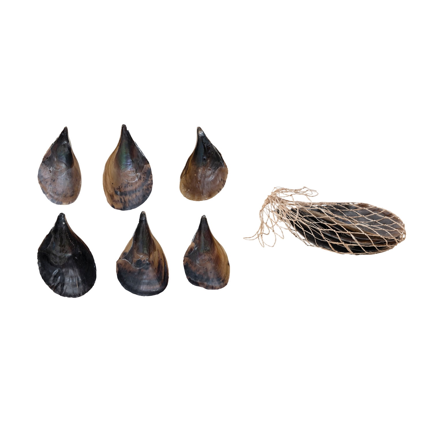 Creative Co-Op Pen Clam Shells in Bag - Walmart.com