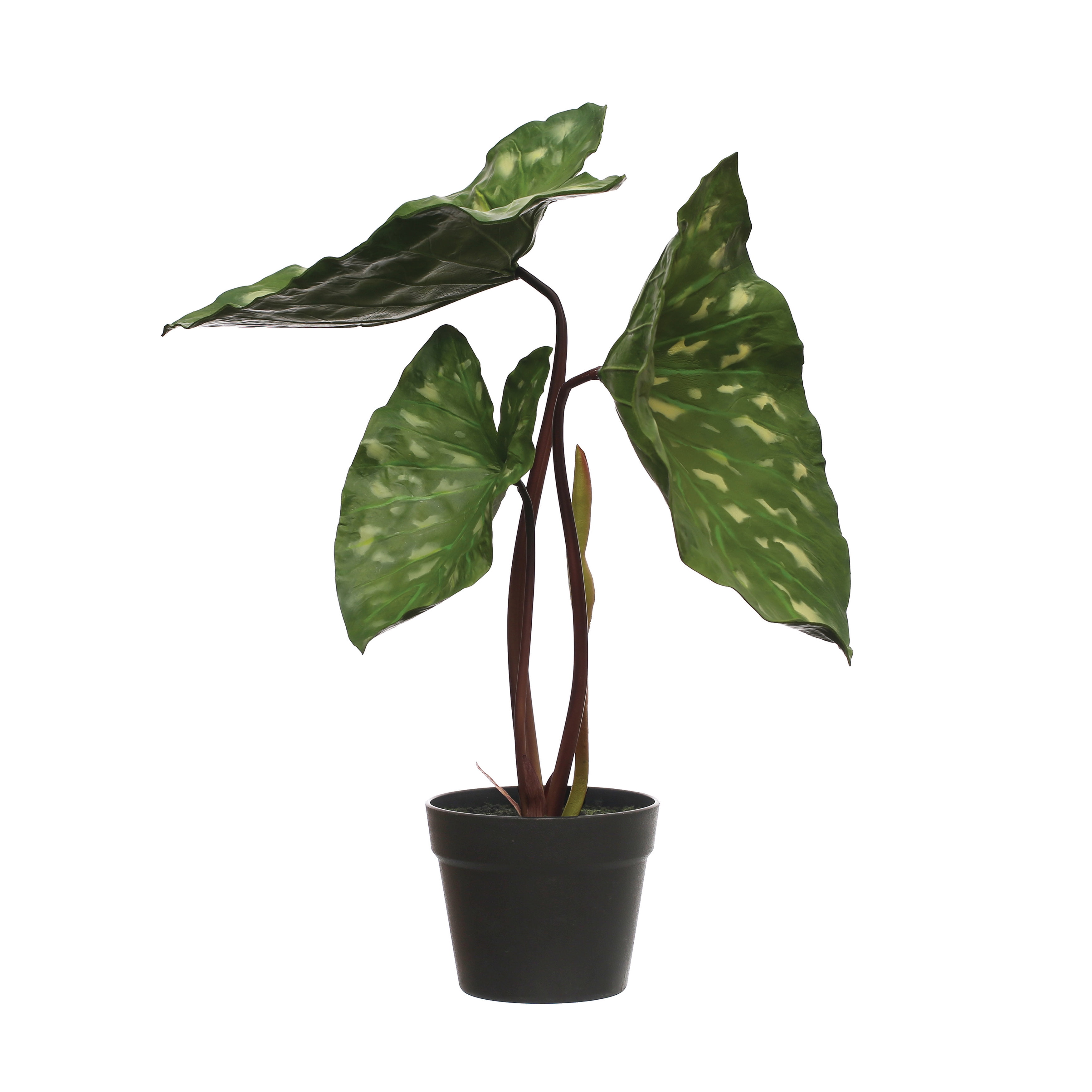 Creative Co-Op Round Faux Elephant Ear Plant in Plastic Pot, Natural ...
