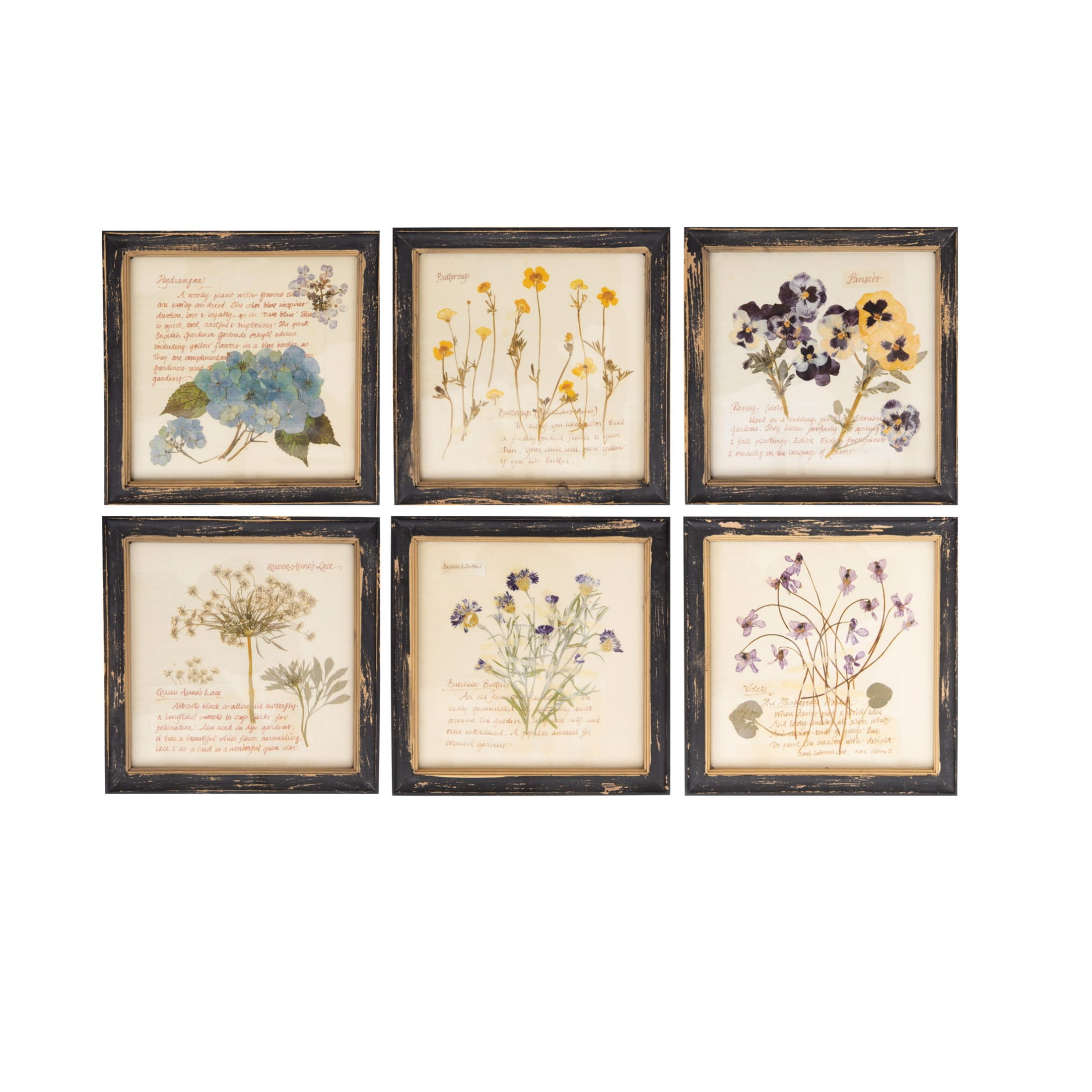 Creative Co-Op Square Wood Framed Wall Décor with Floral Images and ...