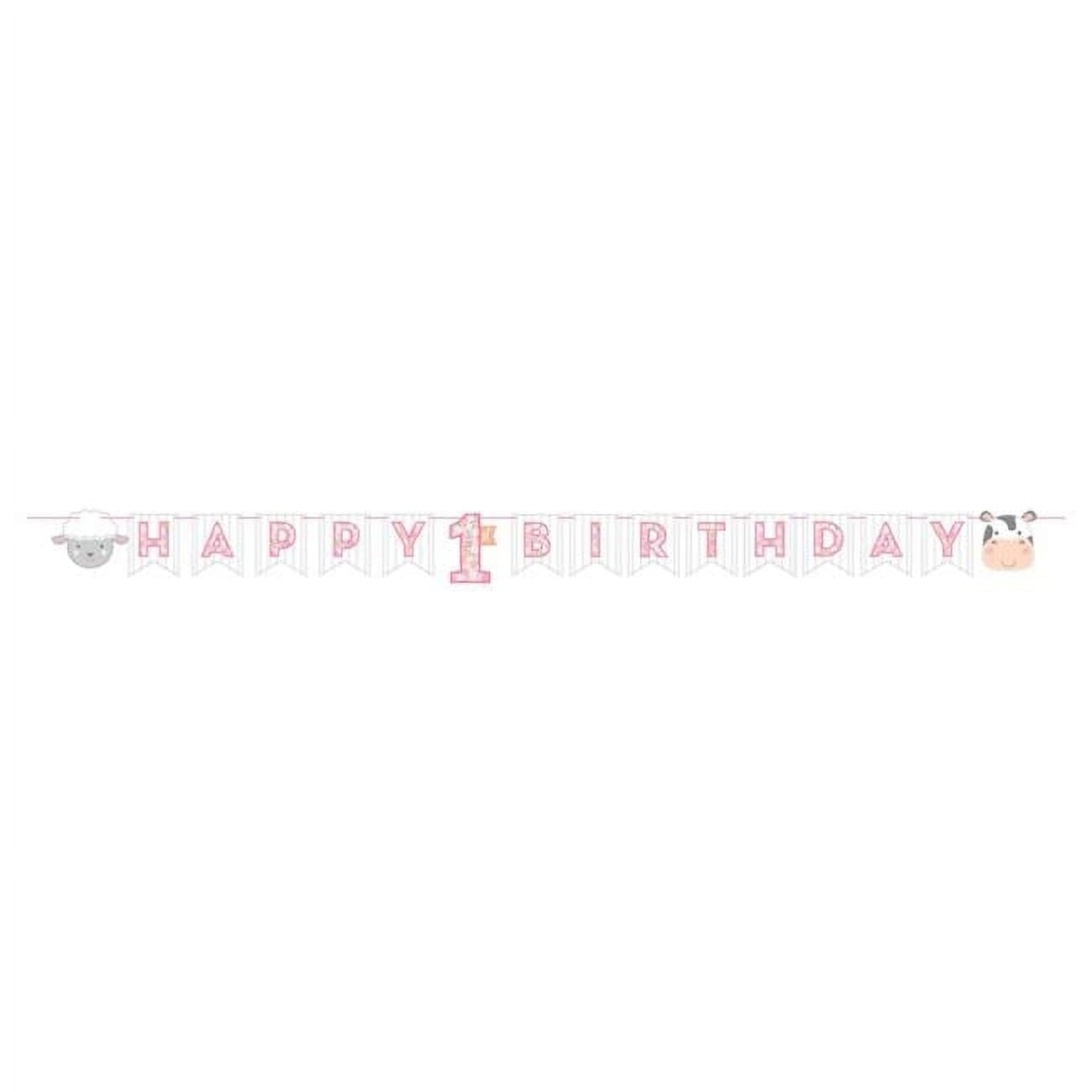 Creative Converting Farmhouse 1st Birthday Girl Banner, Multicolor ...