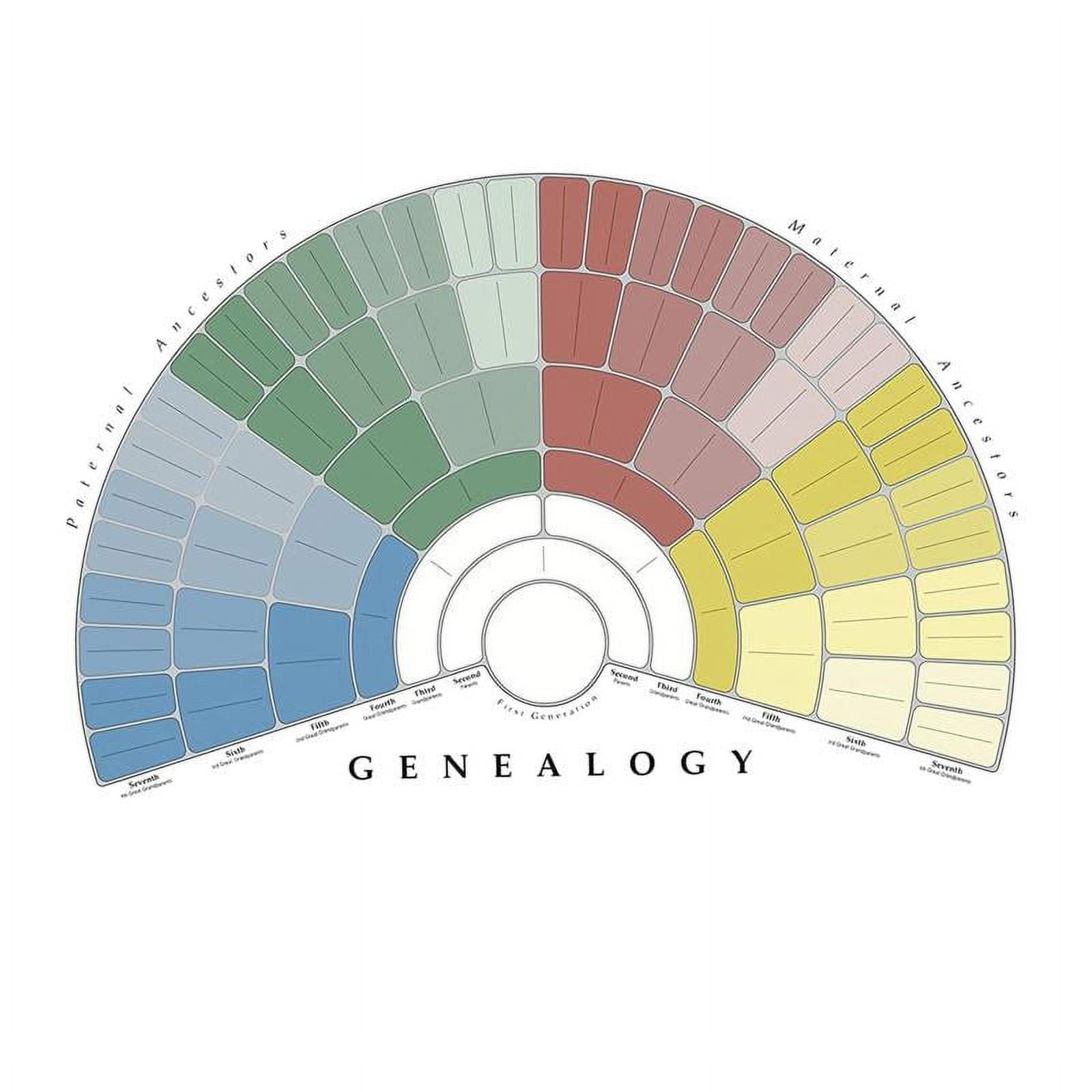 Creative Family Tree Diagram Chart Fillable Genealogy DIY Print Decor ...