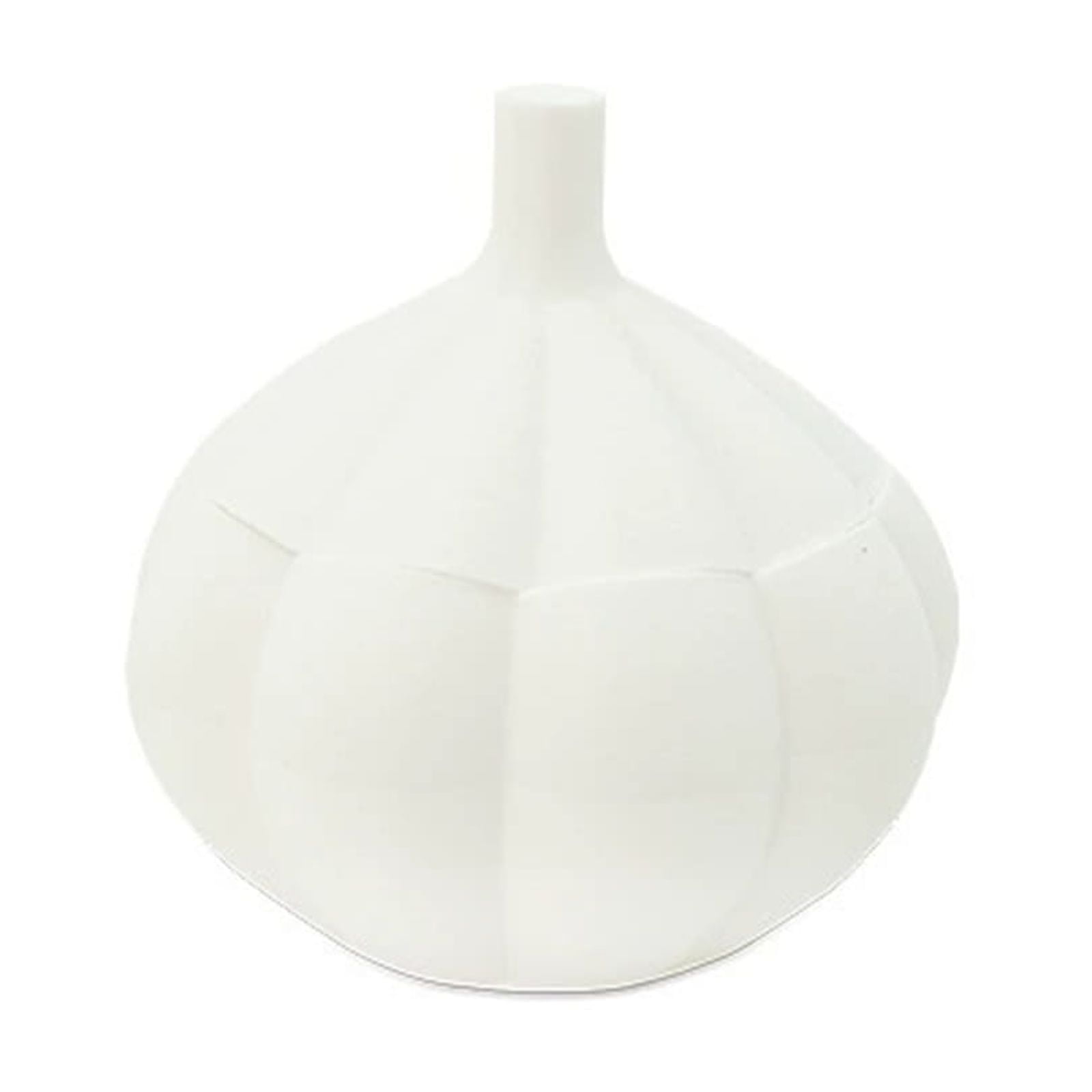 Creative Garlic-Shaped Kitchen Storage Container Kitchen Spice Storage ...