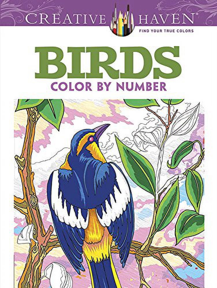 Pre-Owned Creative Haven Birds Color by Number Coloring Book (Paperback ...