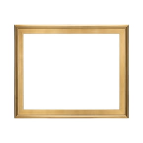 16x20 Gold Frame