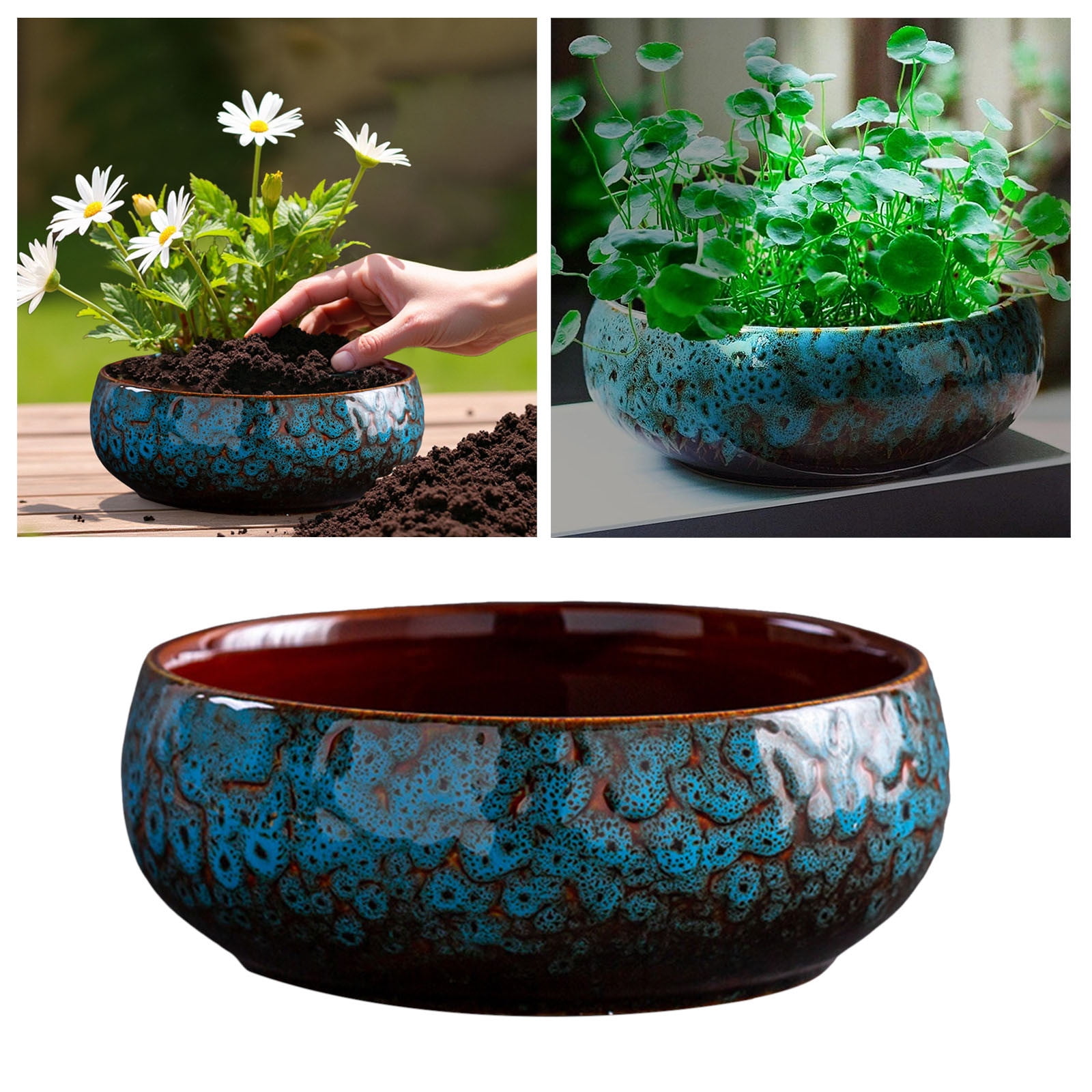 Creative Personality Bonsai Potted Flower Pot, Blue Ceramic Non-Porous ...