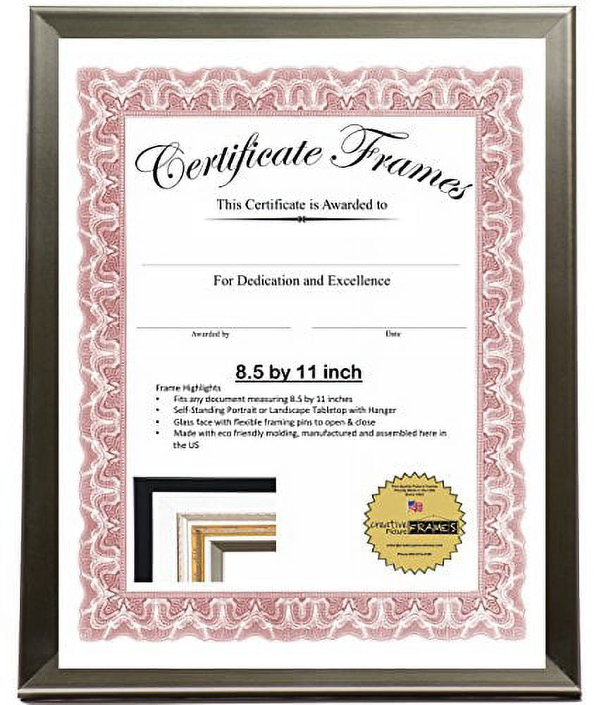 Creative Picture Frames Business License Frame 8.5 by 11 inch Self ...