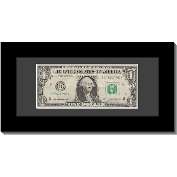 Dollar Bill Frame