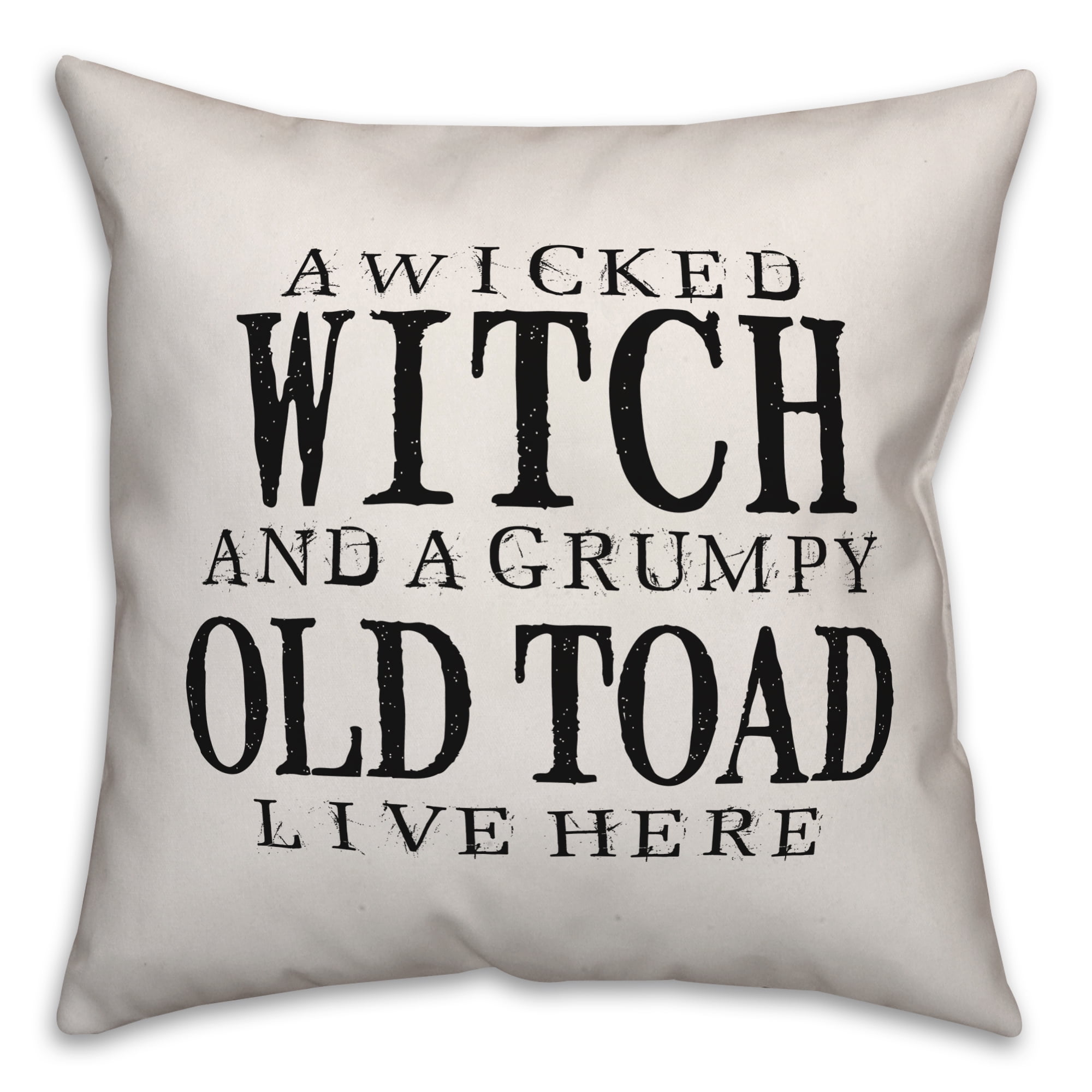 Creative Products A Wicked Witch and Grumpy Toad 20x20 Indoor / Outdoor ...