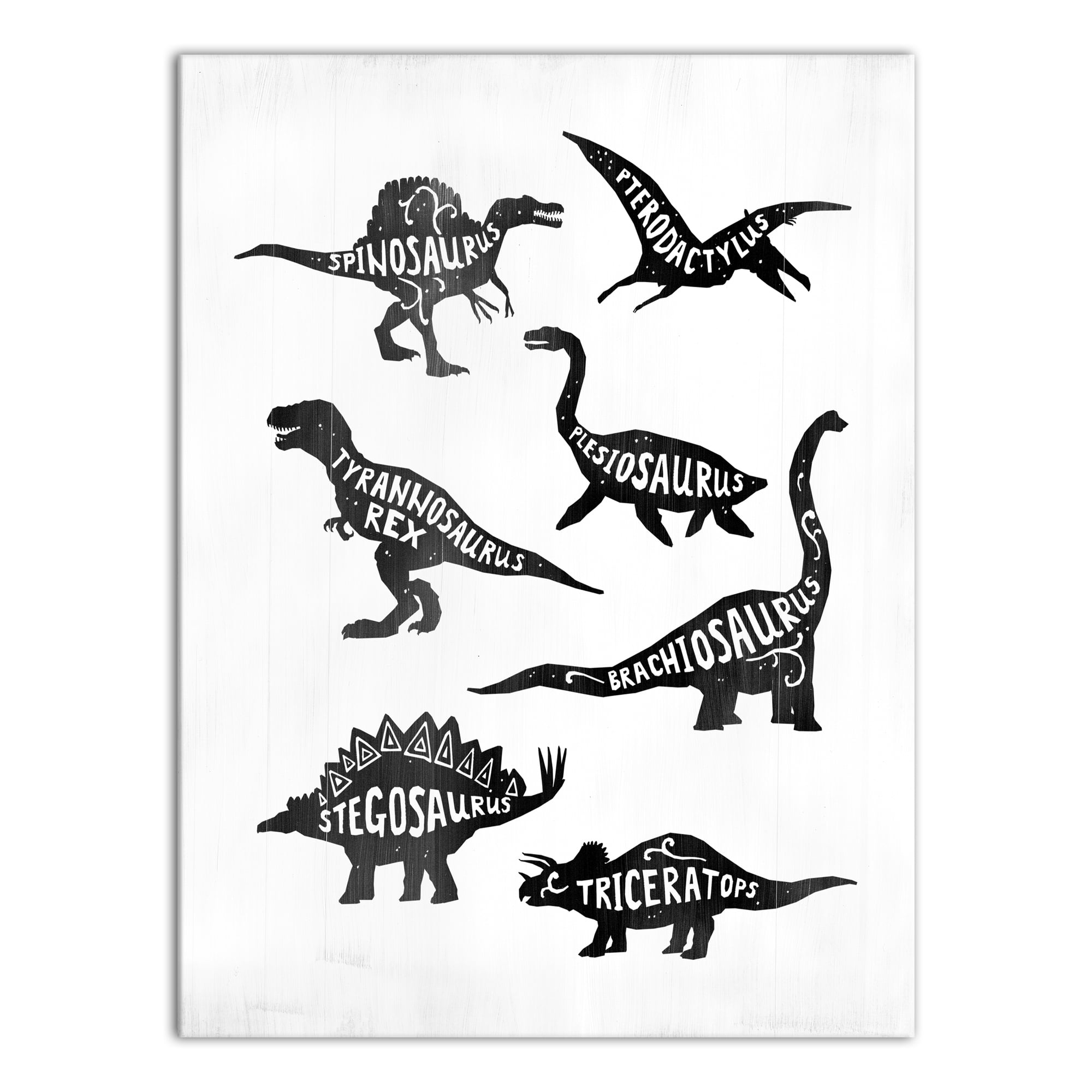 Creative Products Black and White Dinosaurs 30x40 Canvas Wall Art ...