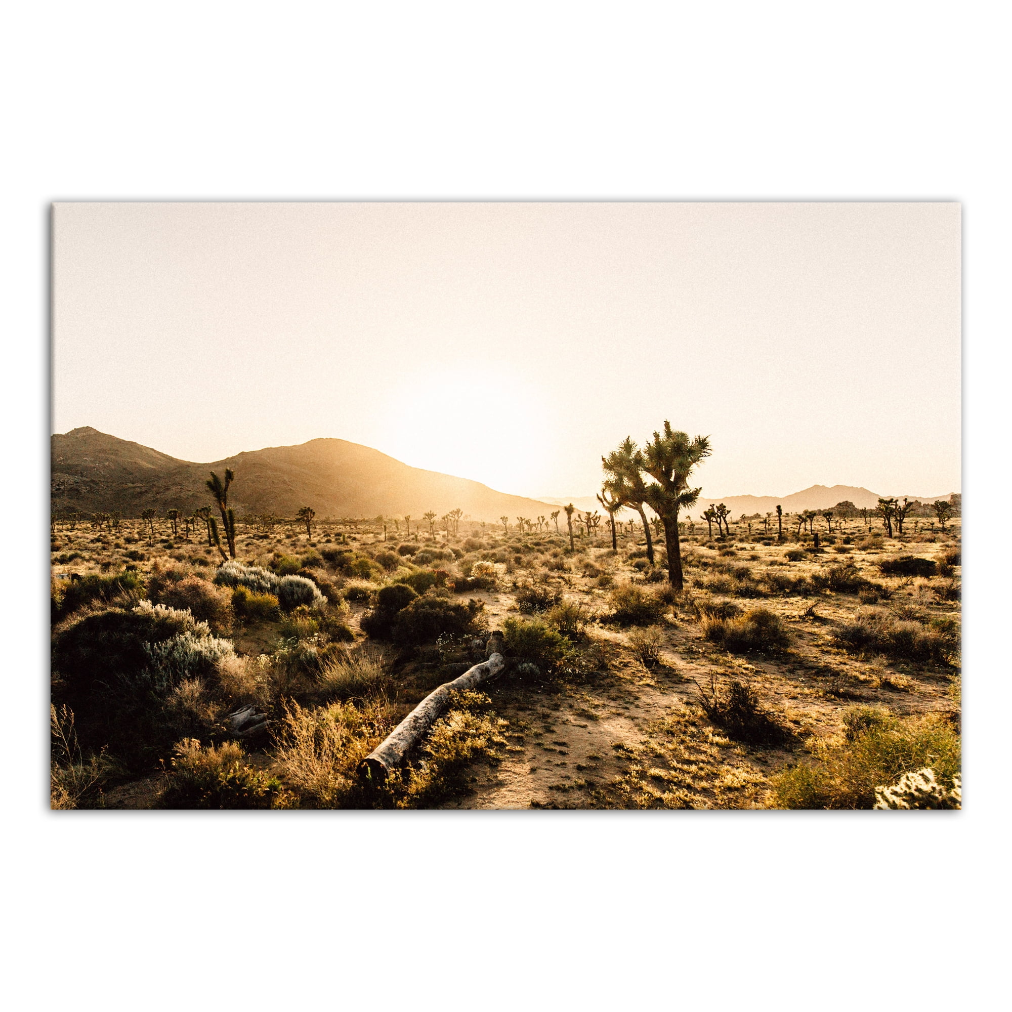 Creative Products Dry Desert Scene 30 x 20 Canvas Wall Art - Walmart.com
