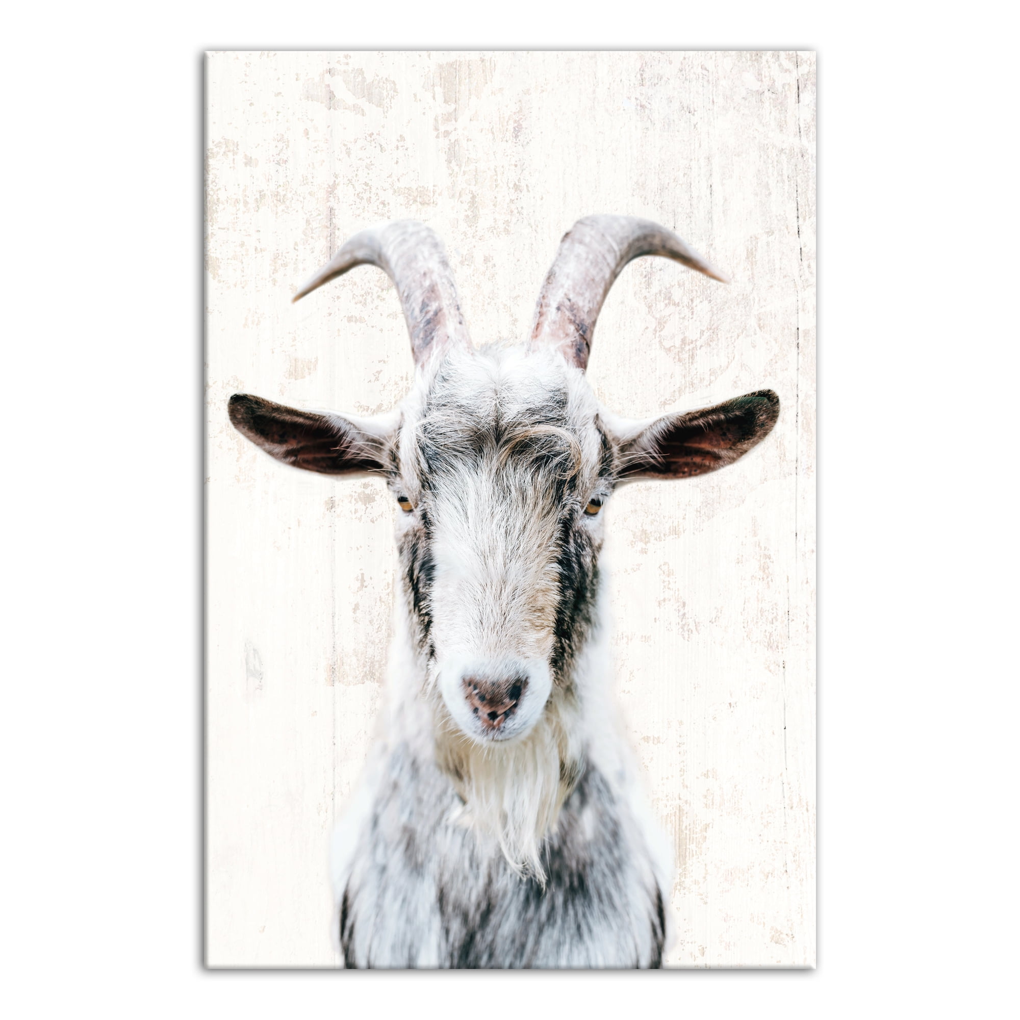 Creative Products Farmhouse Goat 24x36 Canvas Wall Art - Walmart.com