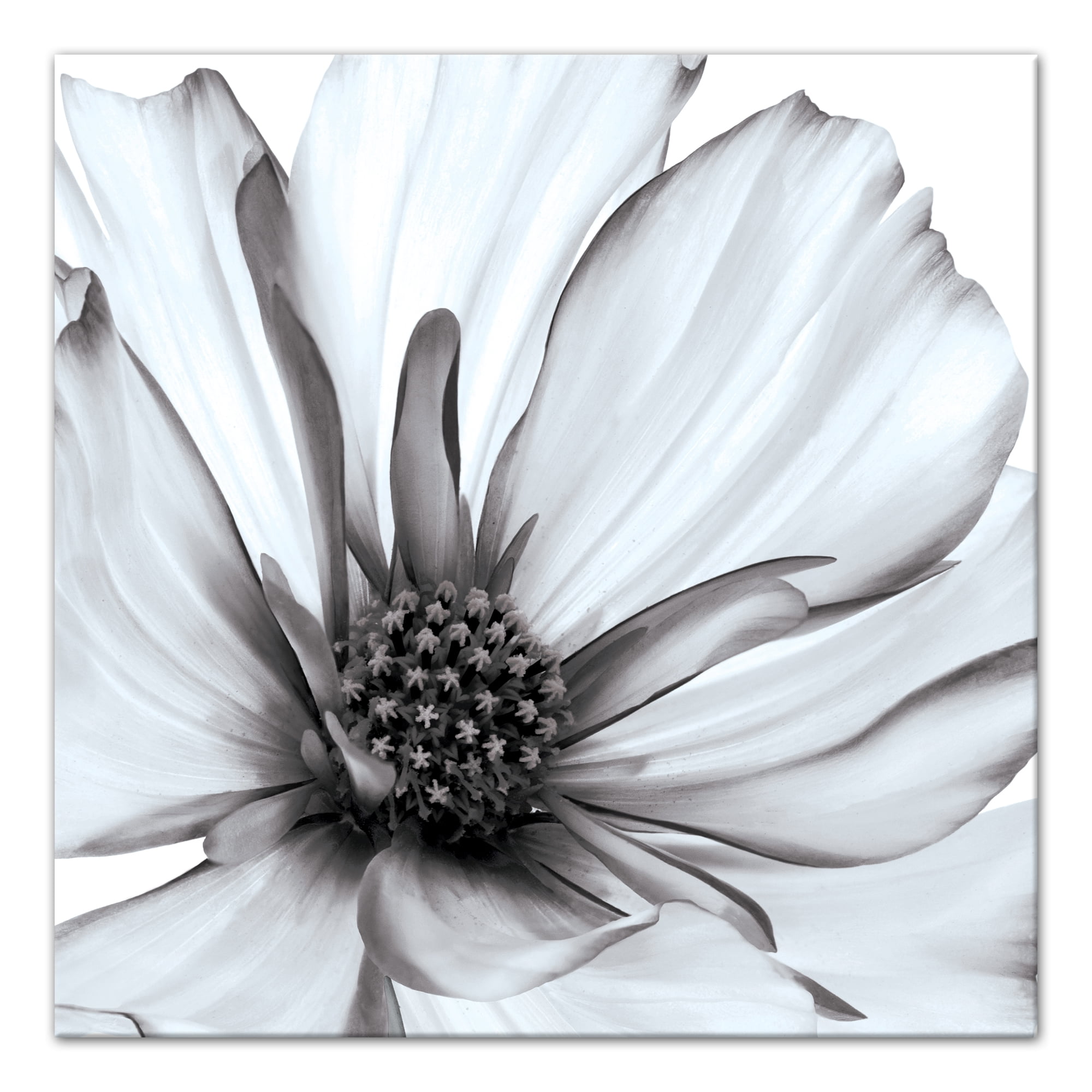 Creative Products Grey and White Flower 36x36 Canvas Wall Art - Walmart.com
