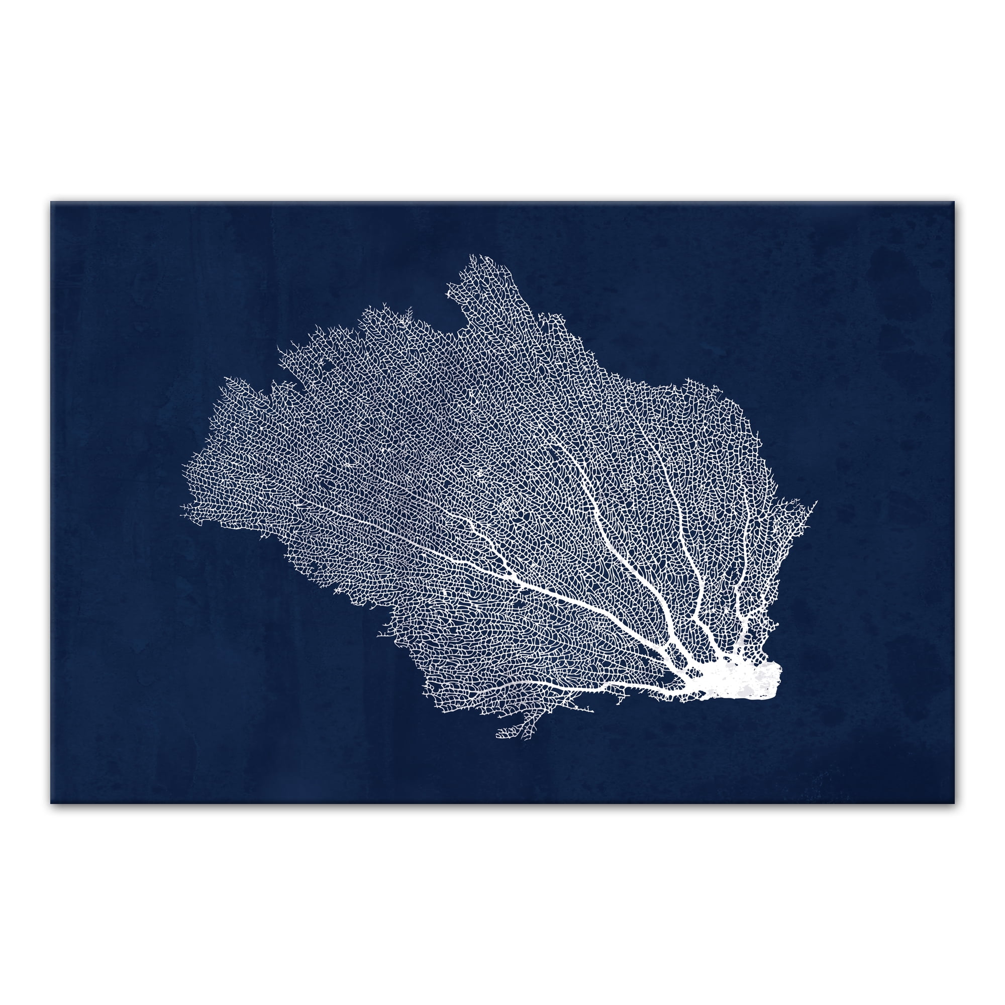 Creative Products Nautical Broken Fan Coral 32x48 Canvas Wall Art ...
