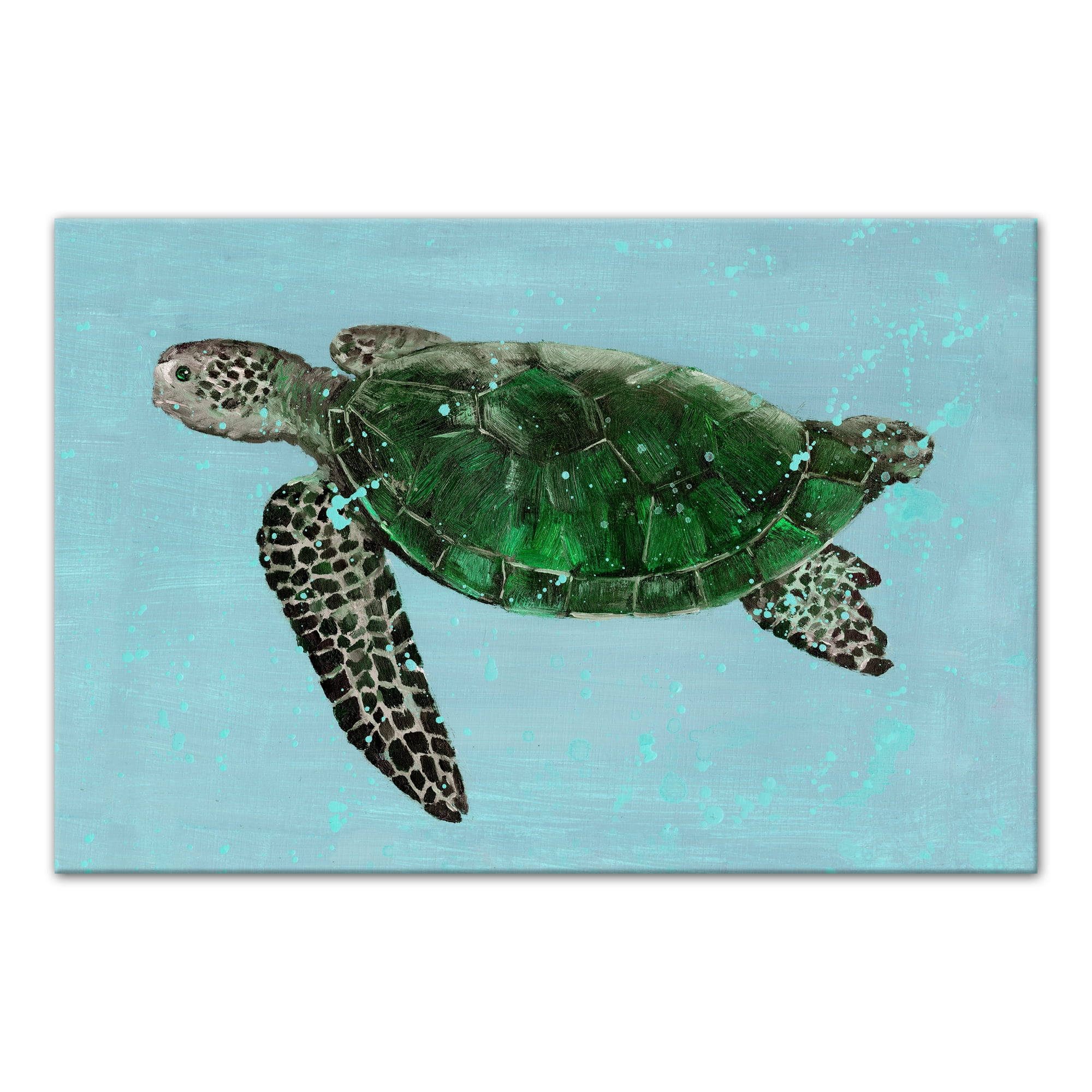 Creative Products Sea Turtle Splatter Paint 30 x 20 Canvas Wall Art ...