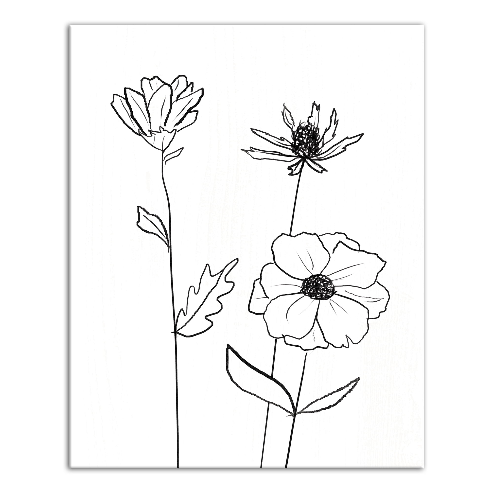 Creative Products Simple Floral Drawing 16x20 Canvas Wall Art - Walmart.com
