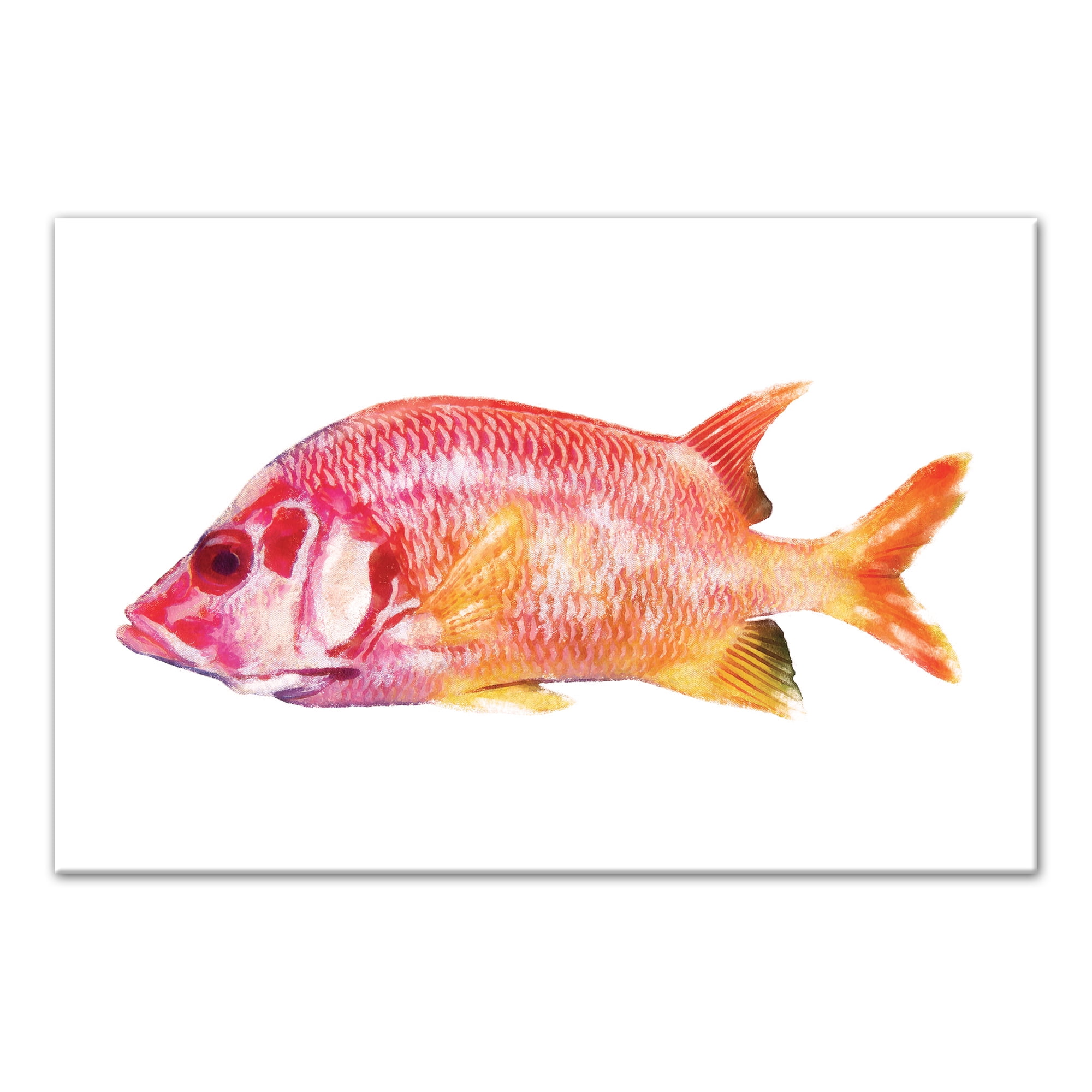 Creative Products Tropical Red Snapper Fish 12x18 Canvas Wall Art ...