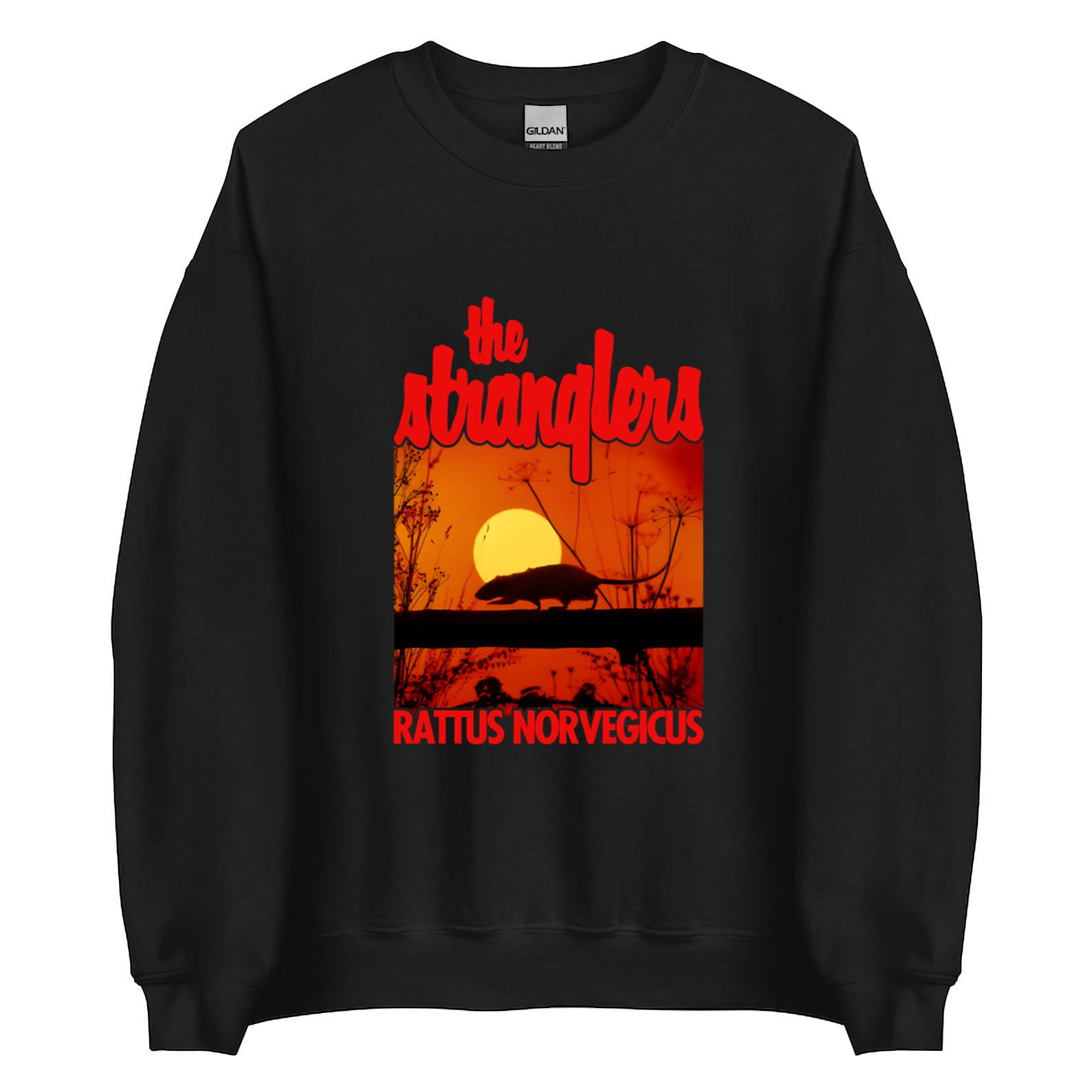 Creative Punk Rock Band Inspired Graphic T-shirt, Sweatshirt, Hoodie ...