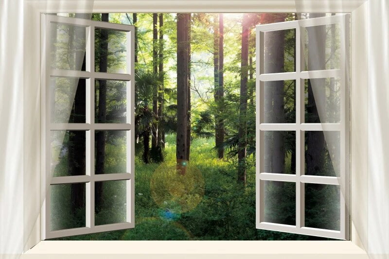 Creative Wood Windows Outside Backdrop For Photography Forest Trees ...