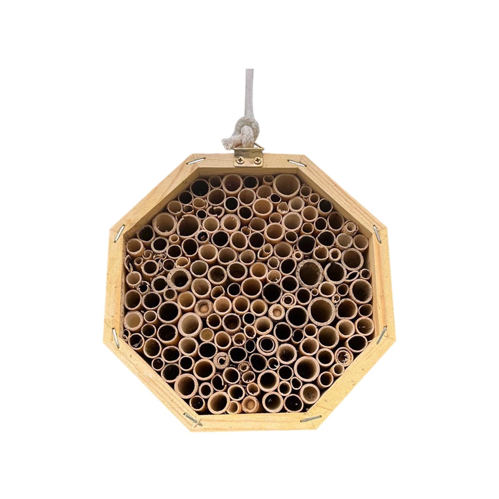 Creative Wooden Tube Bee Hive insect House Mating Box Garden Beekeeping ...
