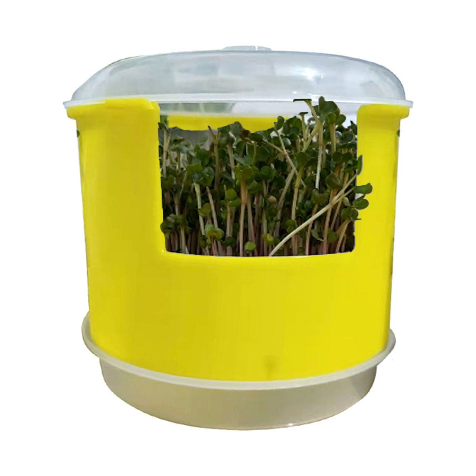 CreativeArrowy Sprouting Kit Garden Supplies Soilless Cultivation ...