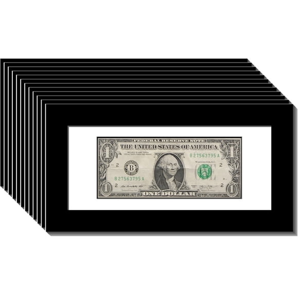 Dollar Bill Frame