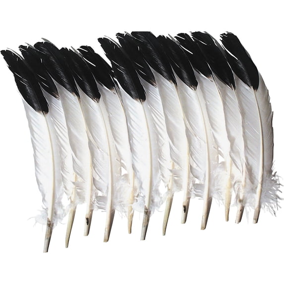 Creativity Street, PACAC4512, Imitation Eagle Feathers, 12 / Pack ...