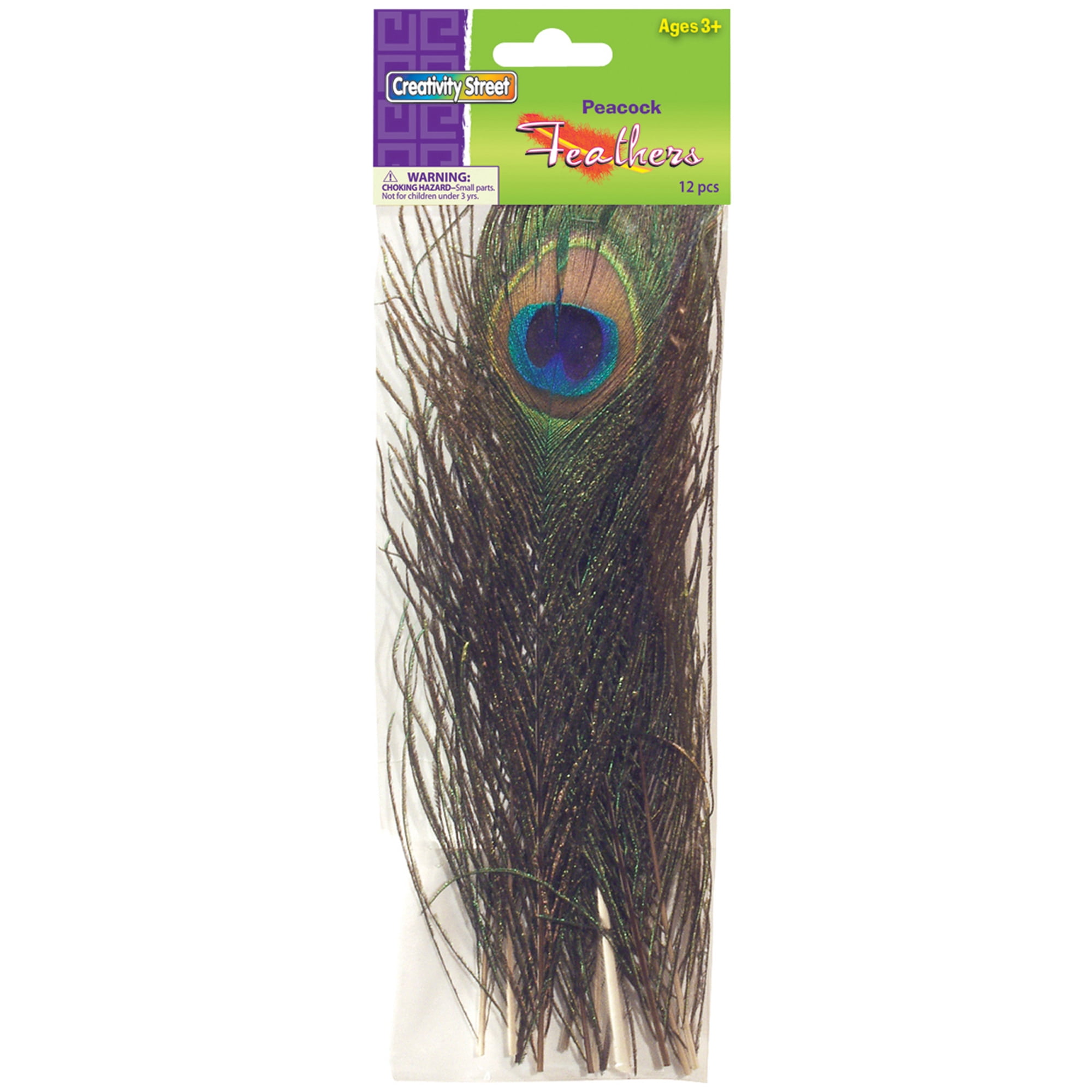 Creativity Street® Peacock Feathers, 12" - 12 per pack, 6 packs ...