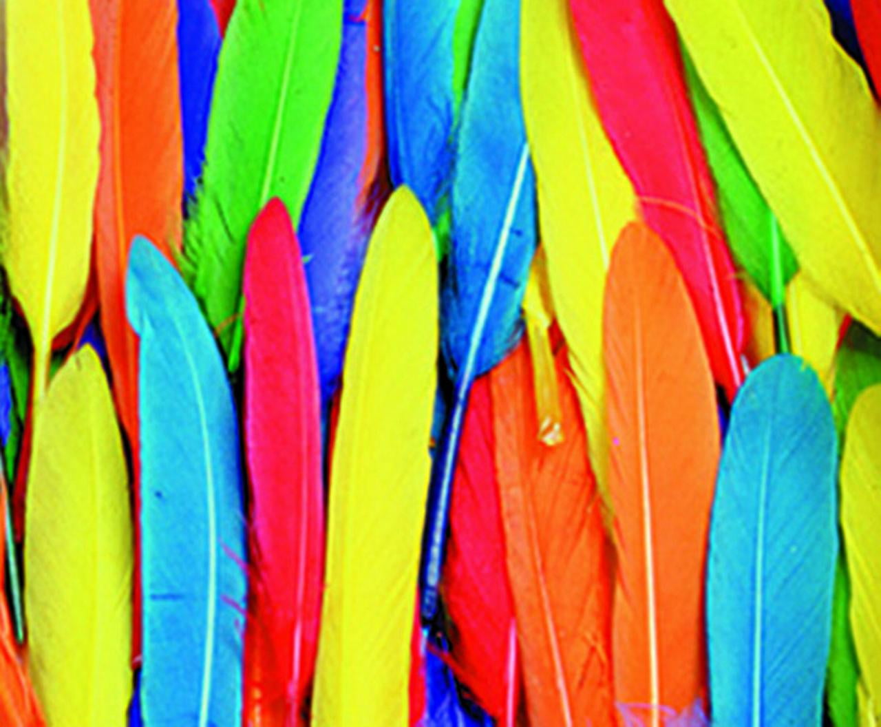 Creativity Street Short Colored Duck Quill, 3 to 5 Inches, Assorted ...