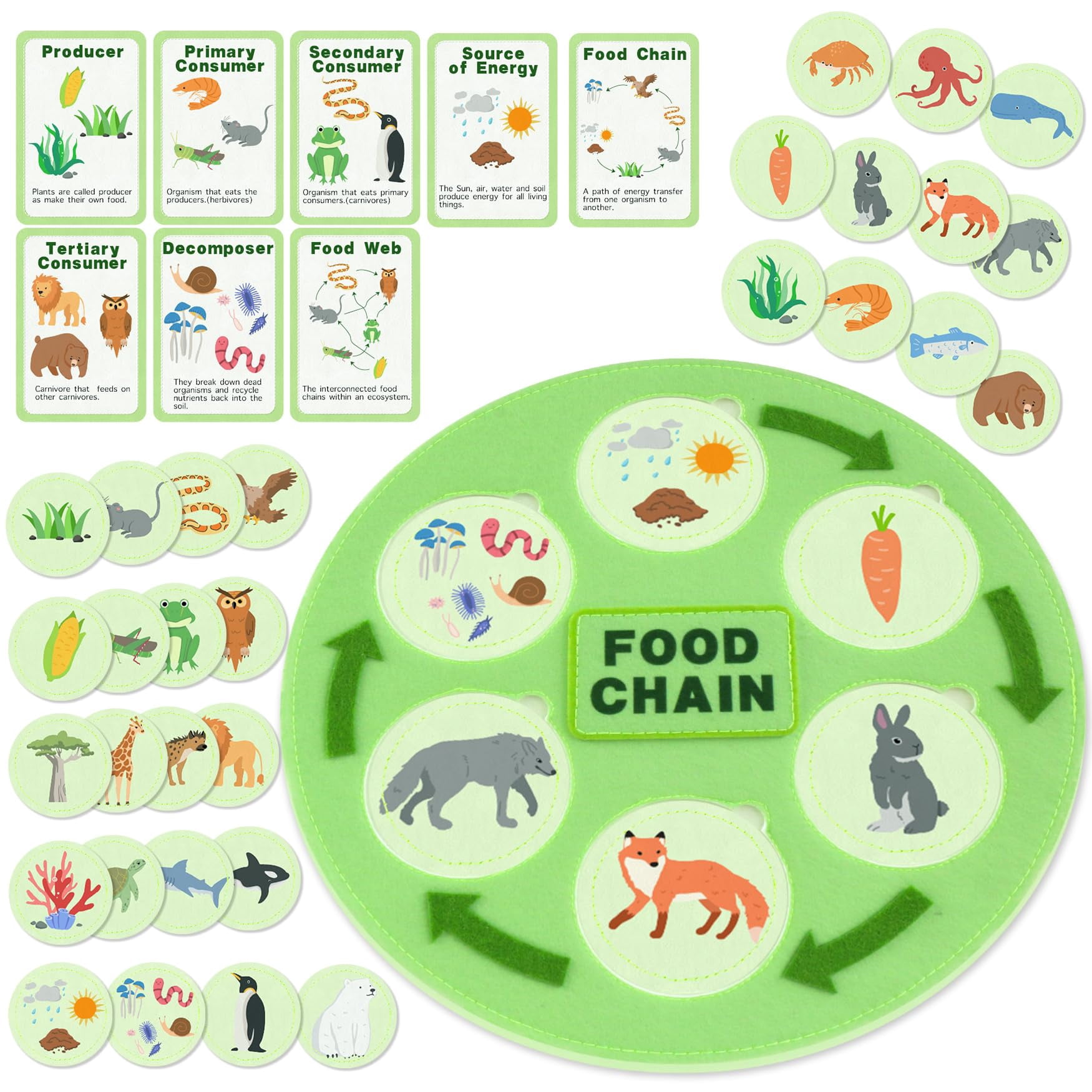 Creatoy Life Cycle Kit, YPF5 Montessori Toys for Toddler Animal ...