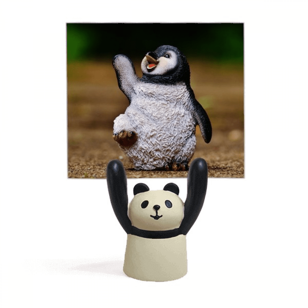 Creature Antarctic Cute Penguin Science Nature Memo Holder Cartoon ...