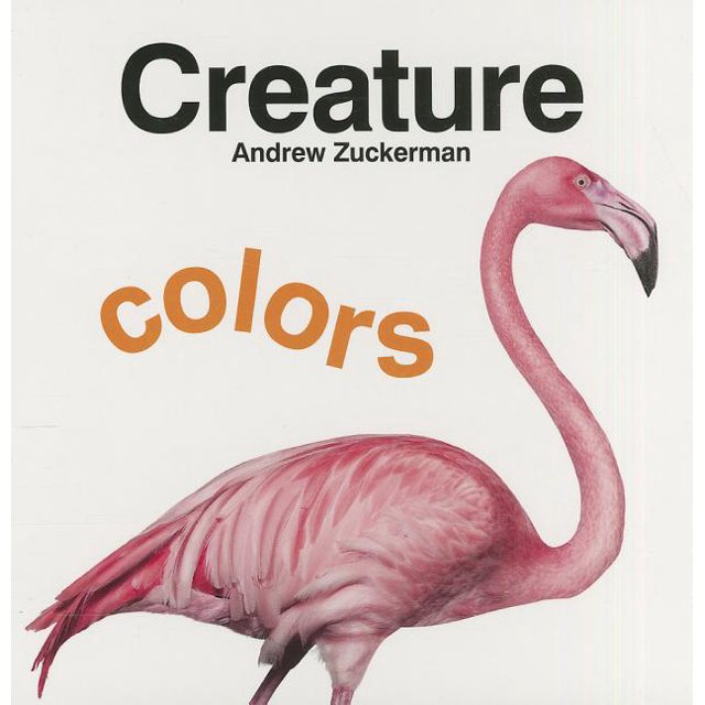 Creature Colors (Board Book) - Walmart.com