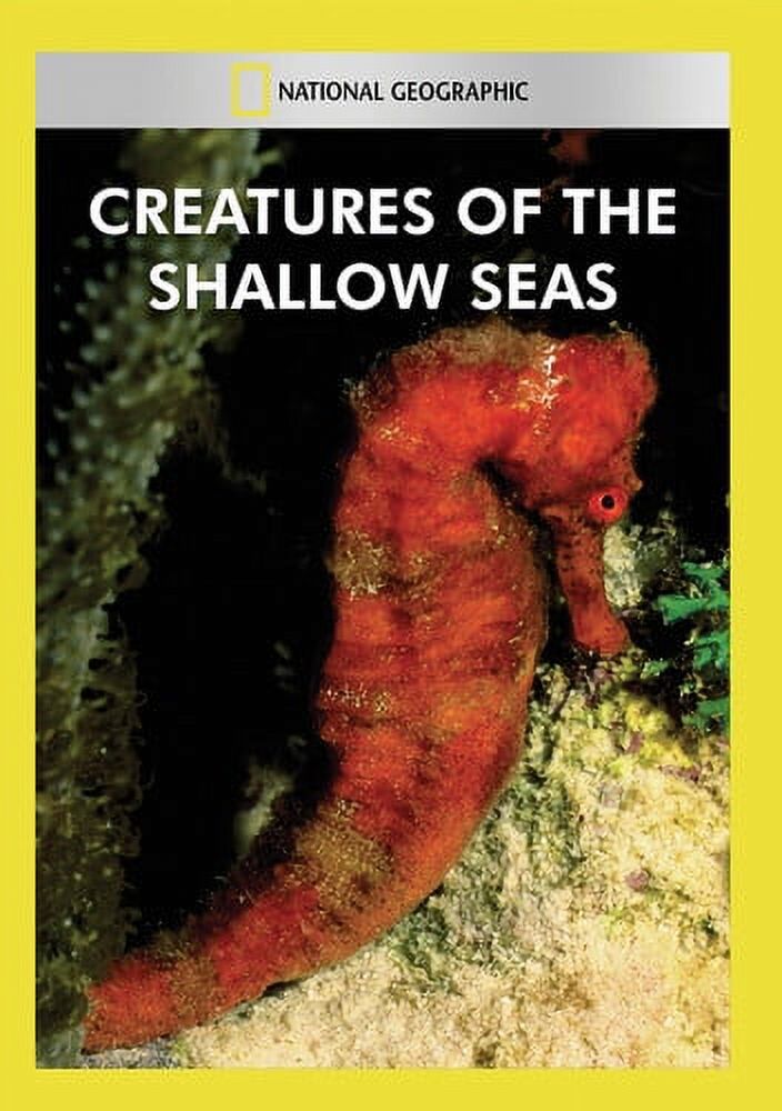 Creatures of the Shallow Seas (DVD), National Geographic, Documentary ...