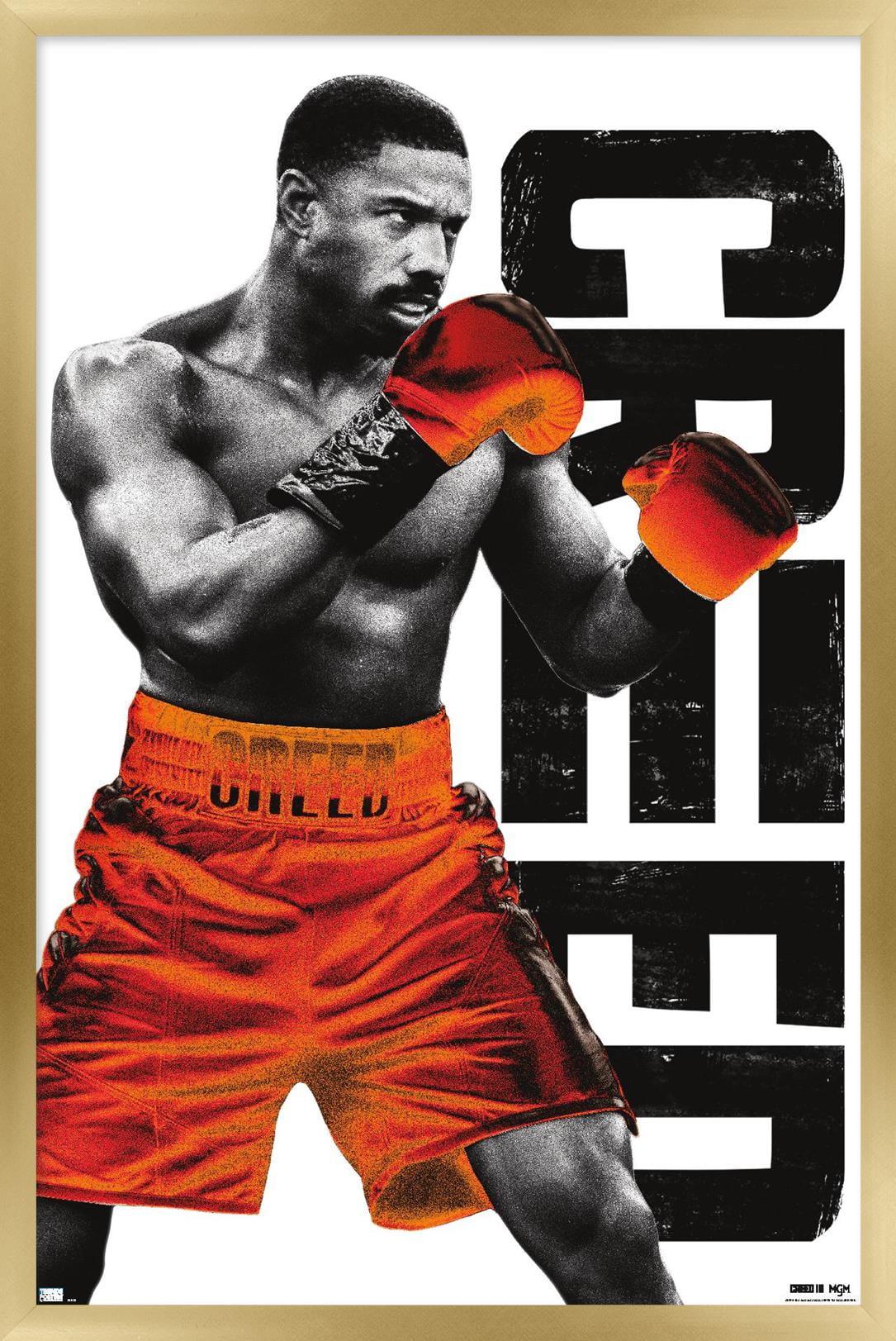 Creed III - Adonis Black and White Wall Poster, 22.375" x 34" Framed ...