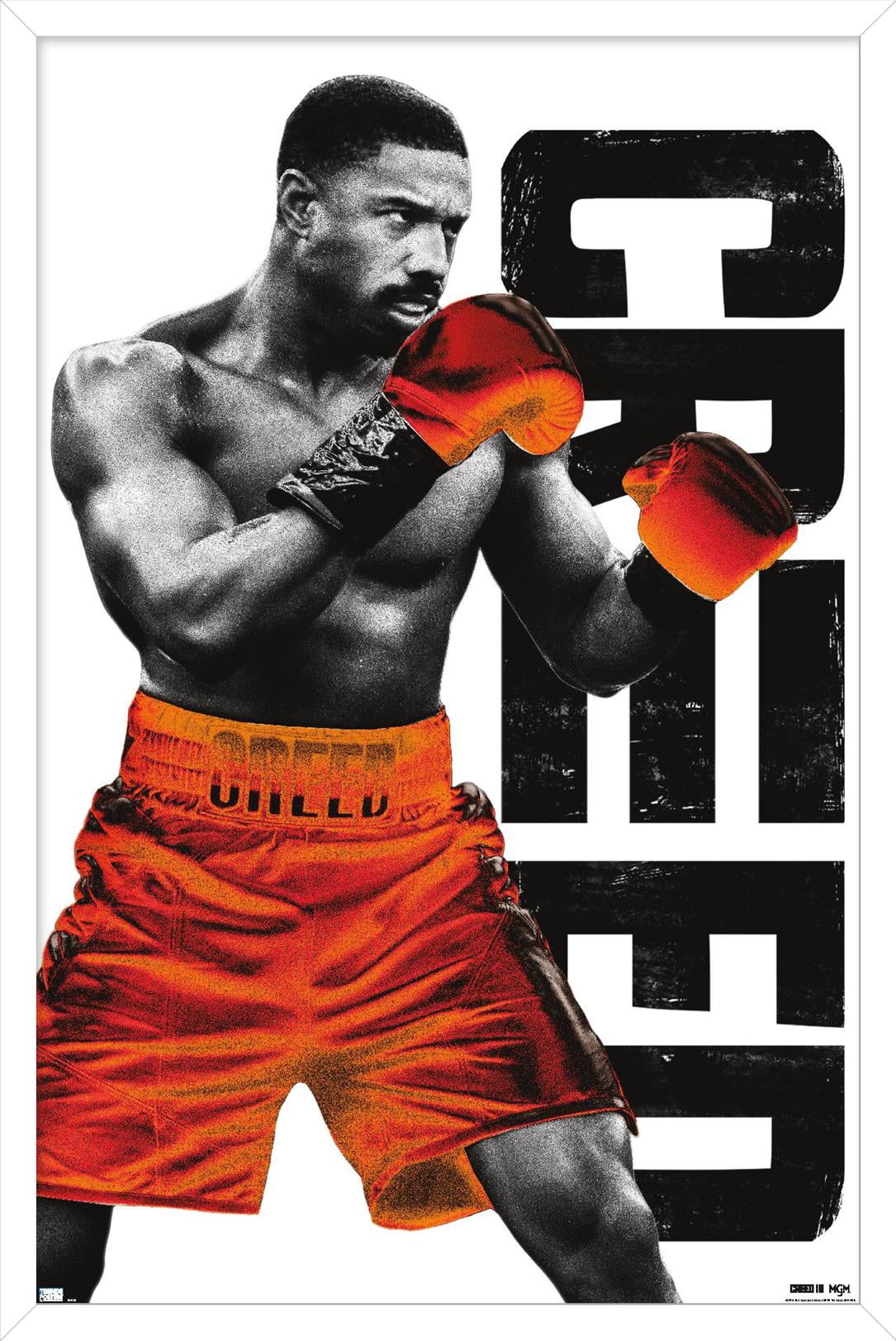Creed III - Adonis Black and White Wall Poster, 22.375" x 34" Framed ...