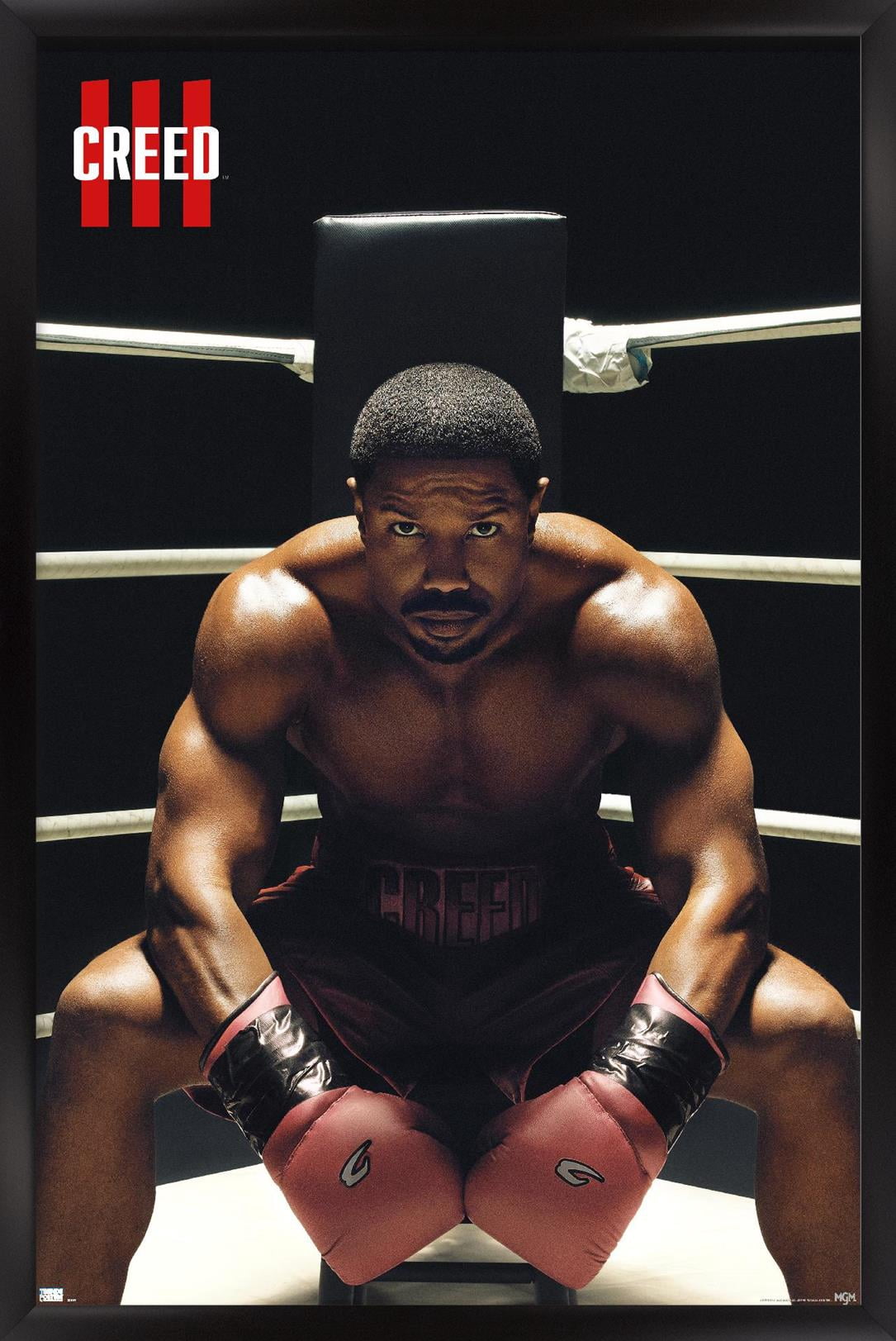 Creed III - Adonis One Sheet Wall Poster, 14.725" x 22.375" Framed ...