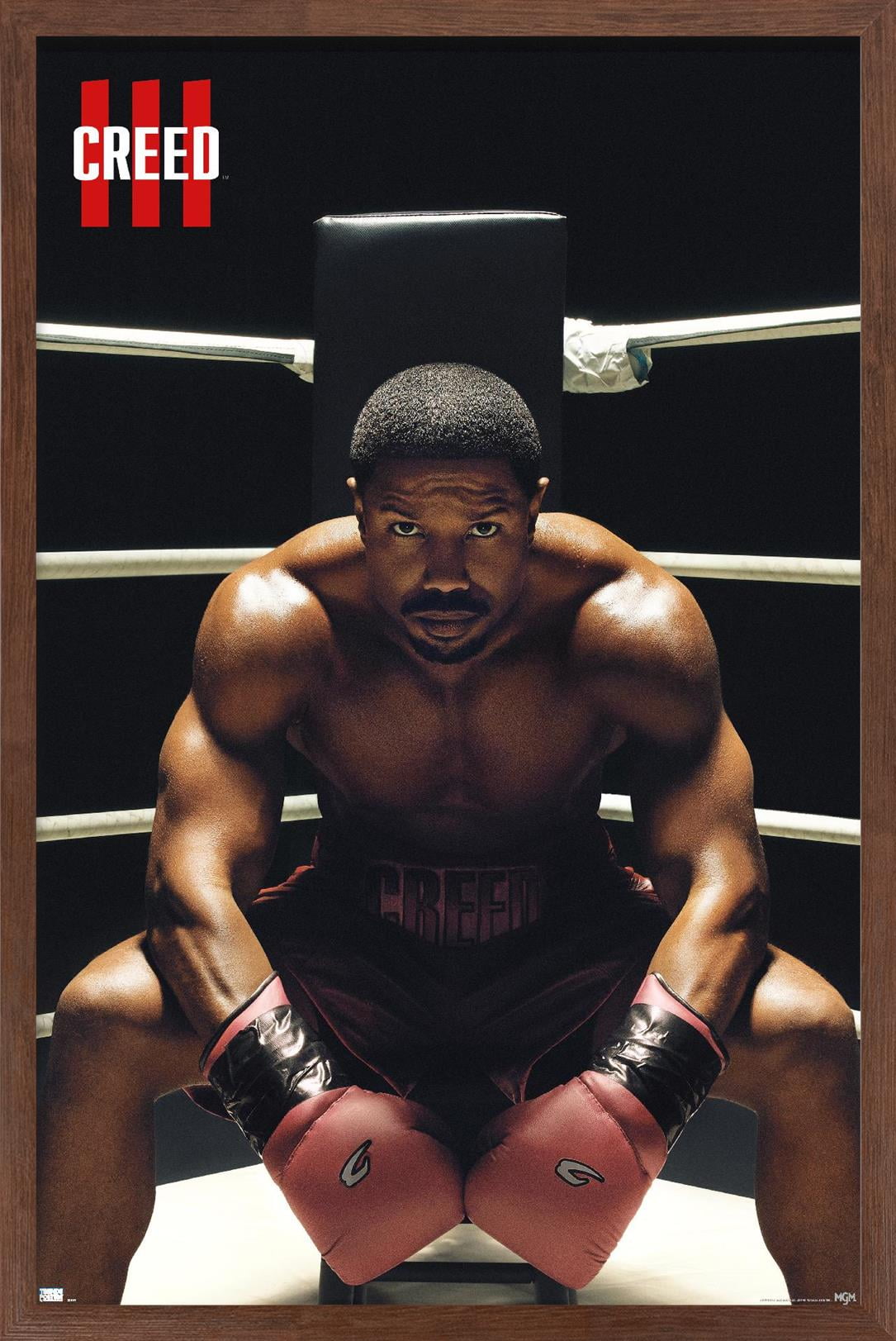 Creed III - Adonis One Sheet Wall Poster, 22.375" x 34" Framed ...