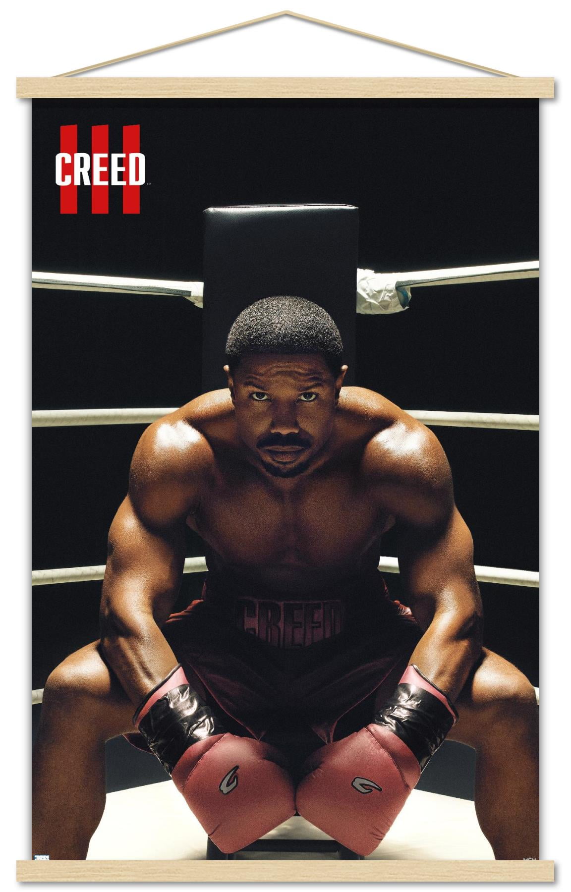 Creed III - Adonis One Sheet Wall Poster with Magnetic Frame, 22.375" x ...