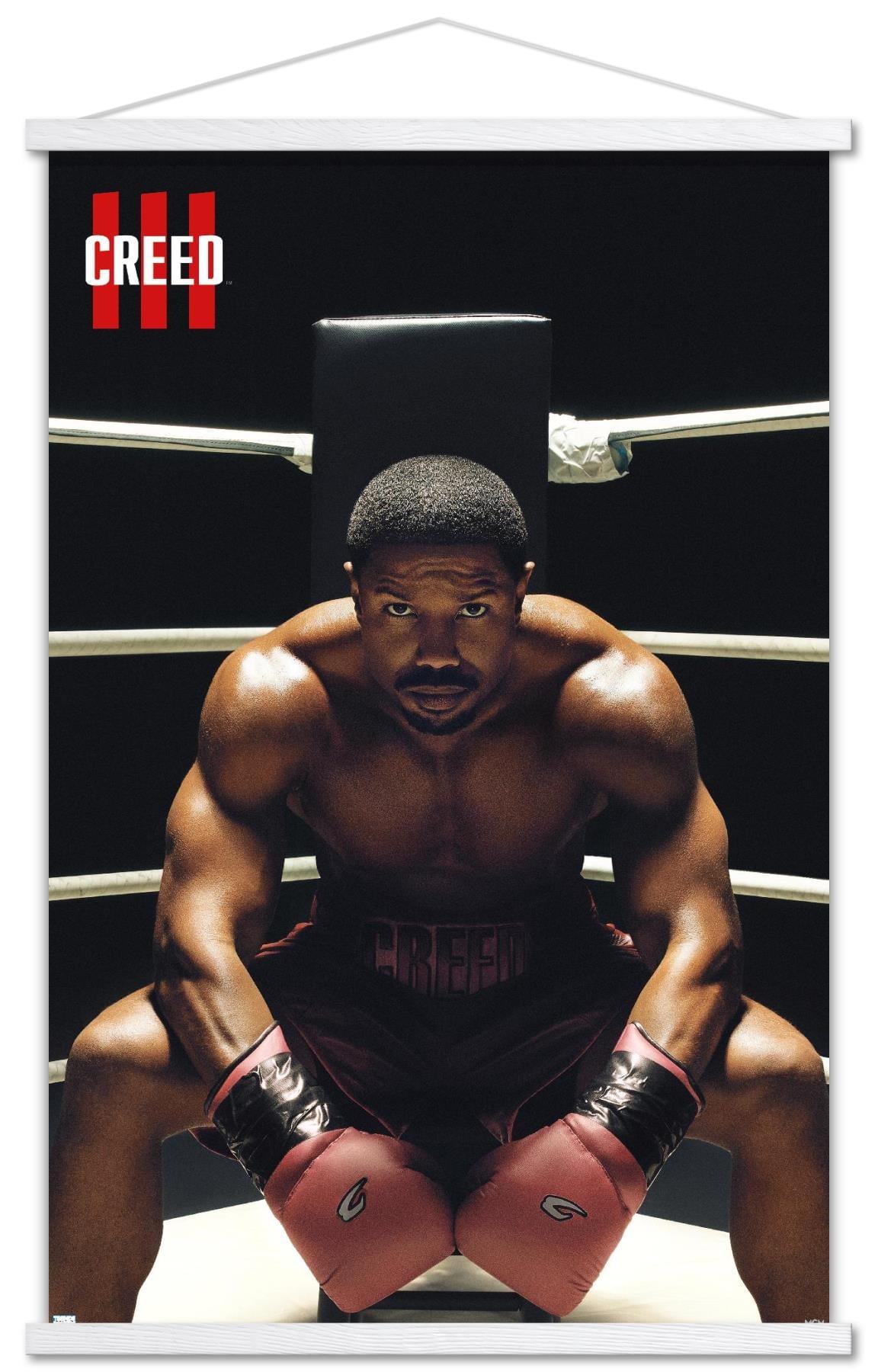 Creed III - Adonis One Sheet Wall Poster with Magnetic Frame, 22.375" x ...