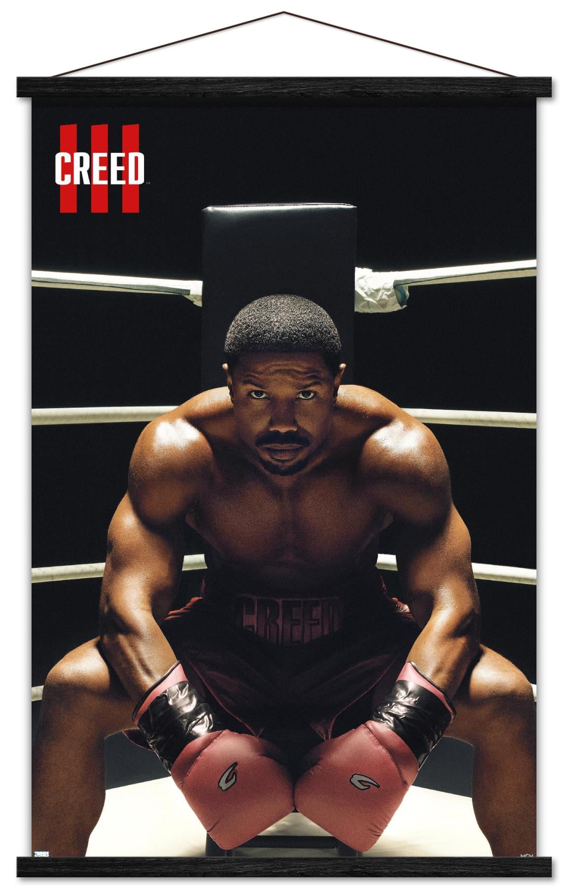 Creed III - Adonis One Sheet Wall Poster with Magnetic Frame, 22.375" x ...