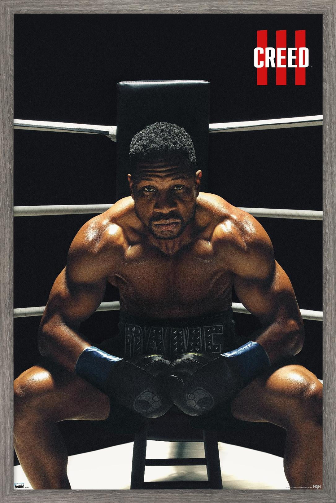 Creed III - Damian One Sheet Wall Poster, 14.725" x 22.375" Framed ...