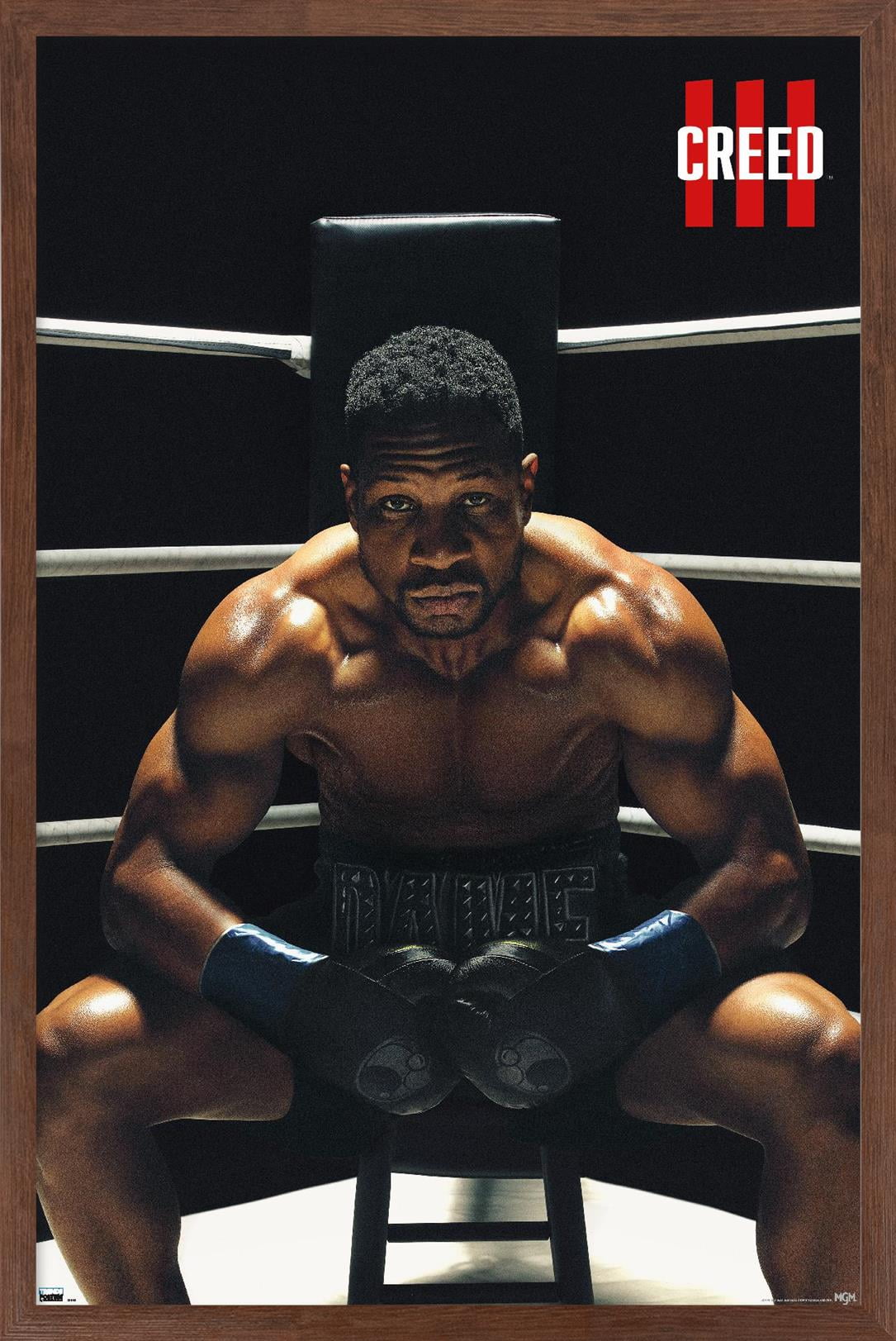 Creed III - Damian One Sheet Wall Poster, 14.725" x 22.375" Framed ...