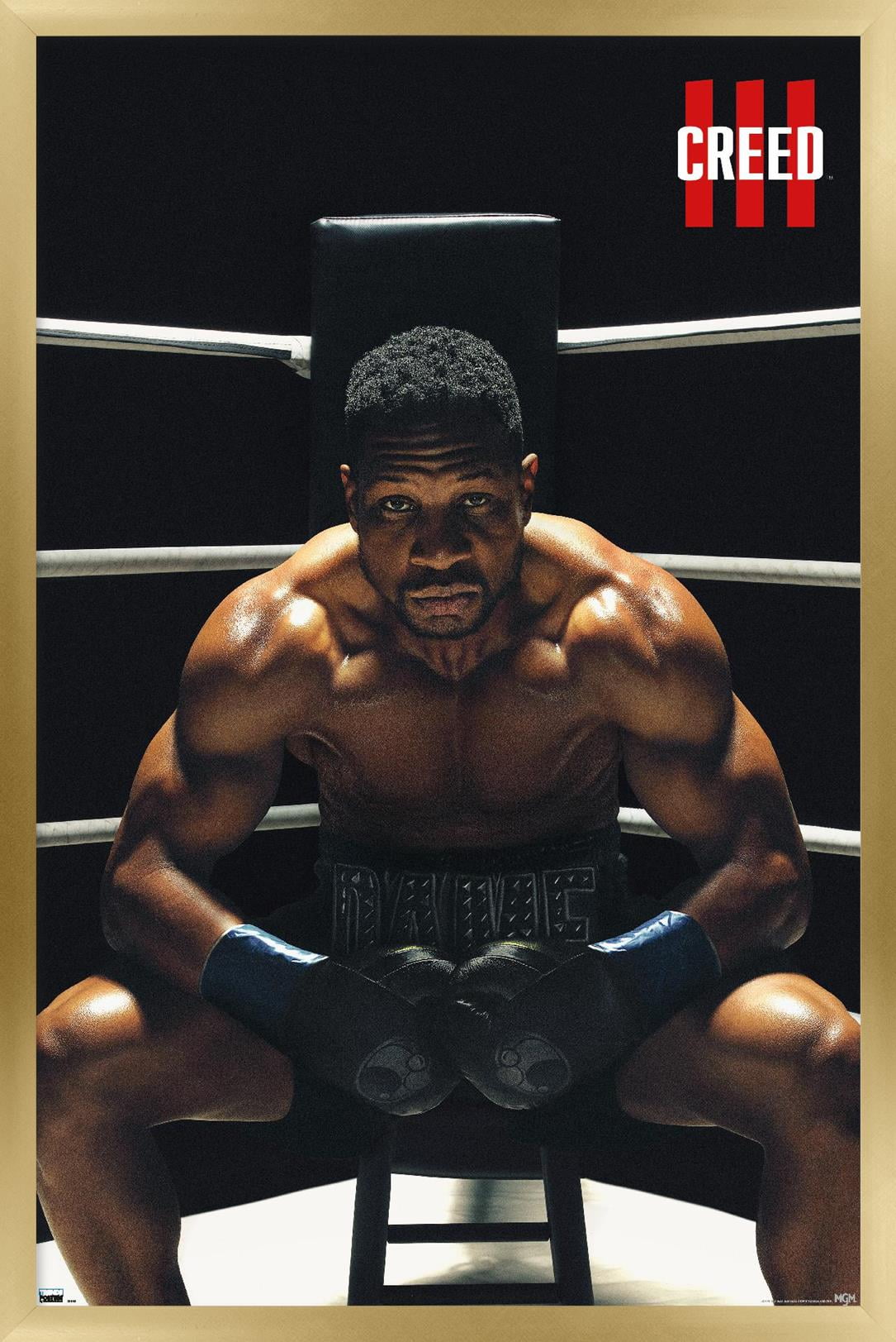 Creed III - Damian One Sheet Wall Poster, 14.725" x 22.375" Framed ...