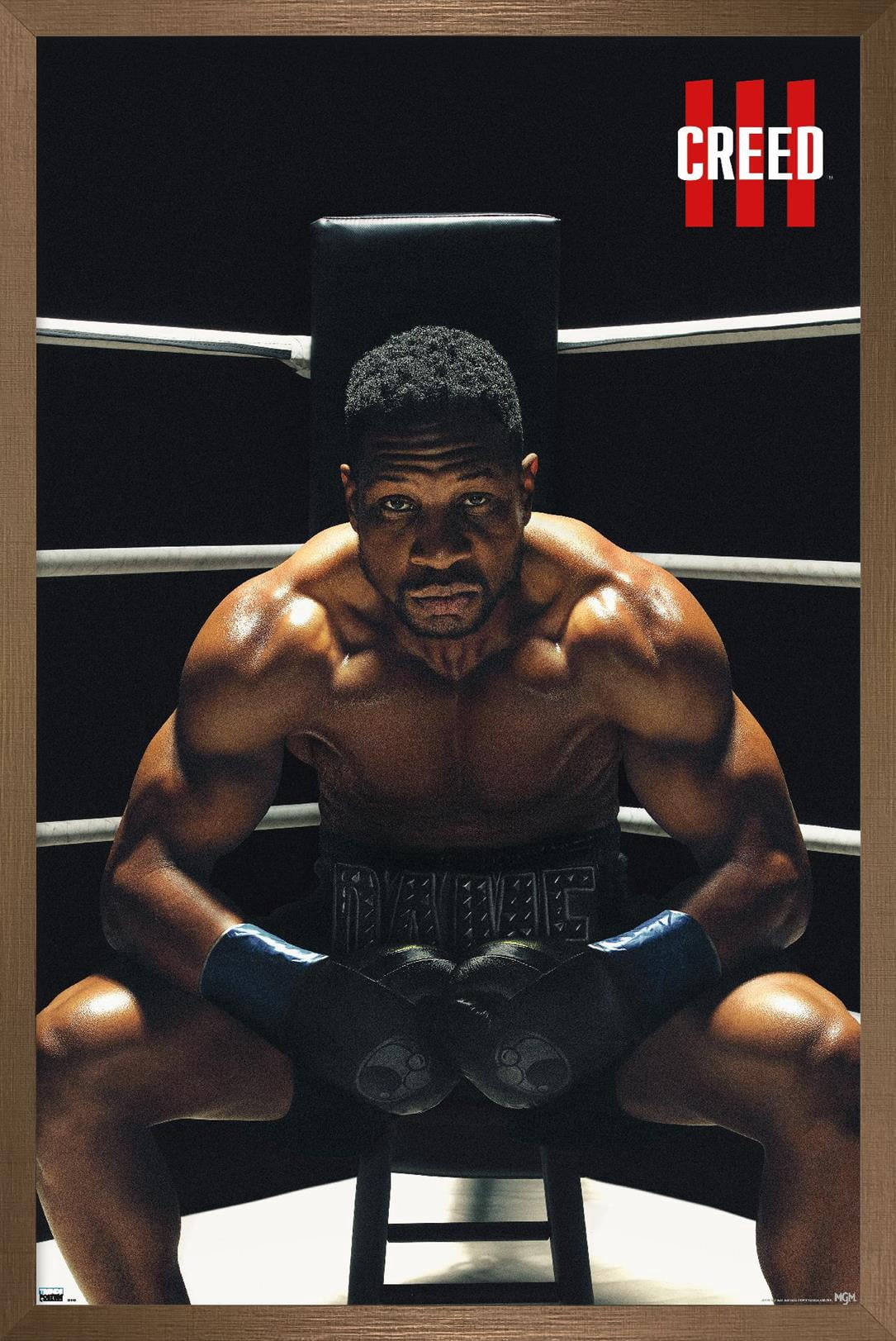 Creed III - Damian One Sheet Wall Poster, 14.725" x 22.375" Framed ...