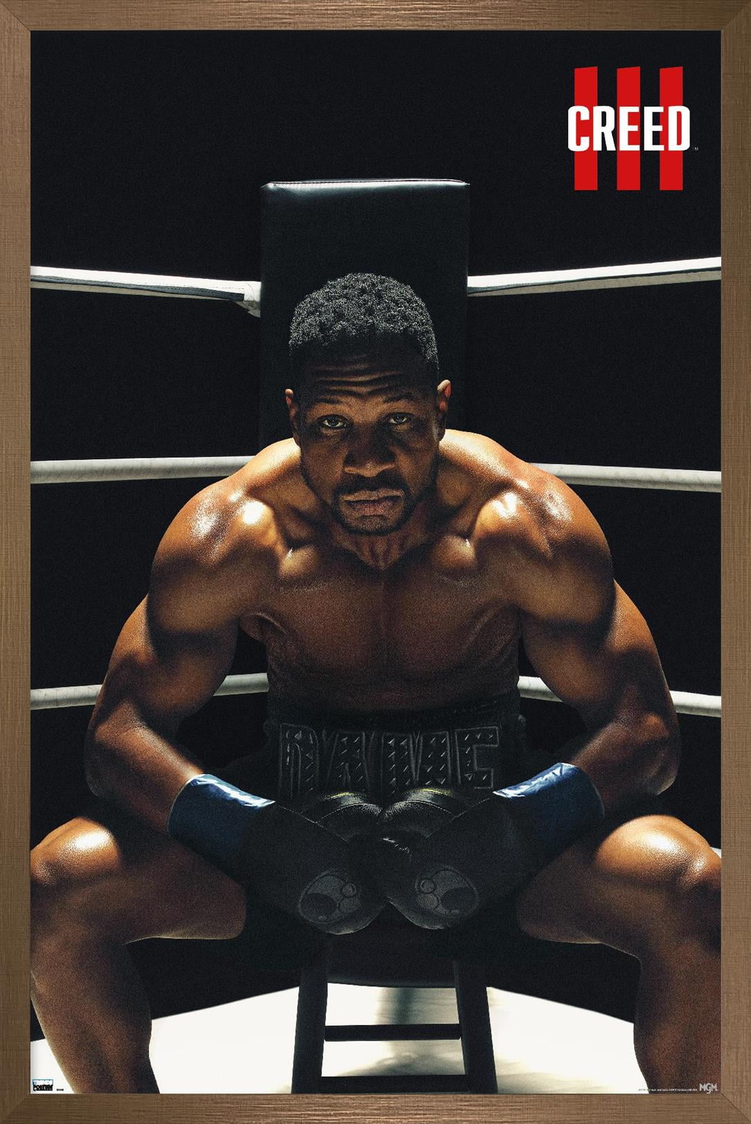 Creed III - Damian One Sheet Wall Poster, 22.375" x 34" Framed ...