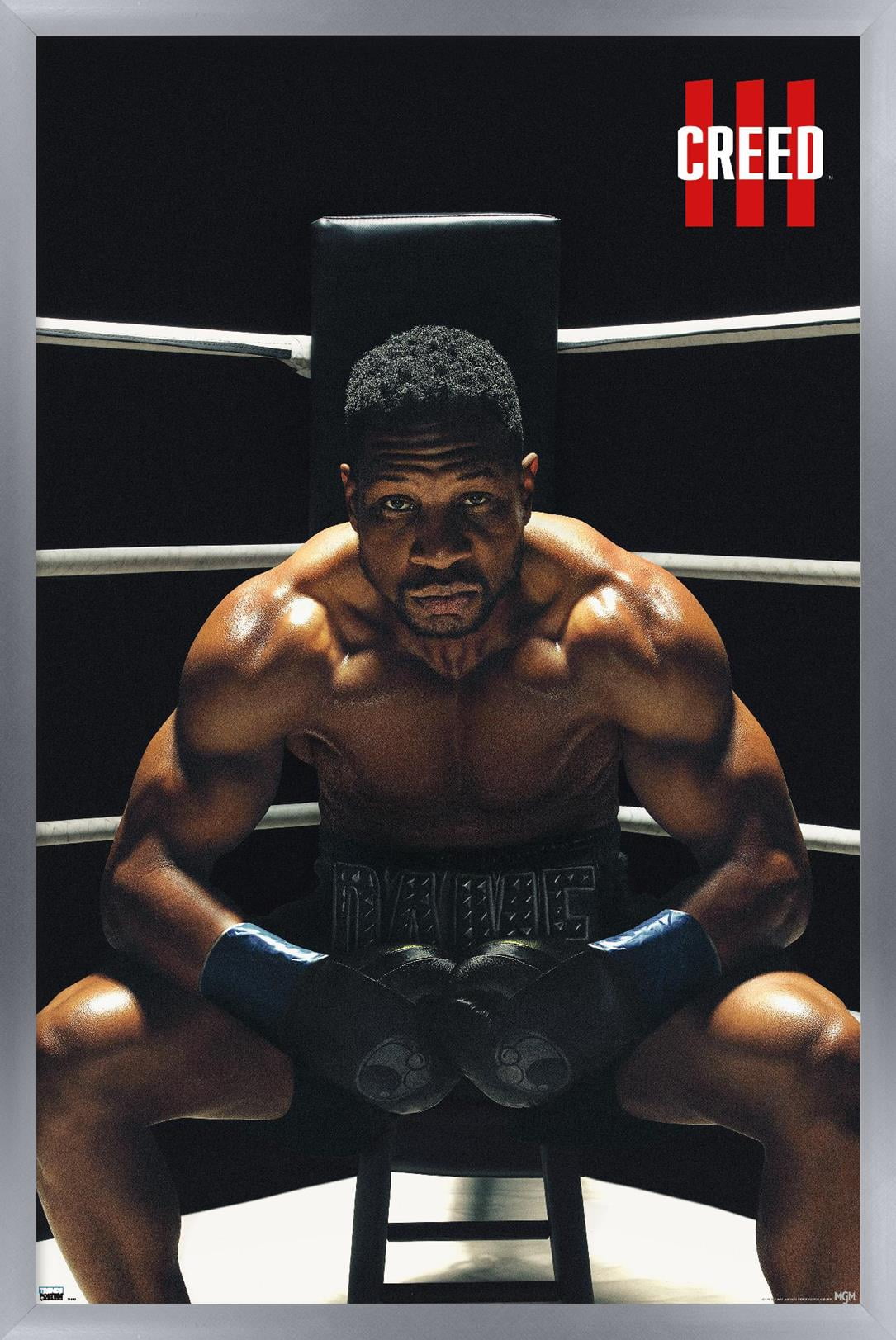 Creed III - Damian One Sheet Wall Poster, 22.375" x 34" Framed ...