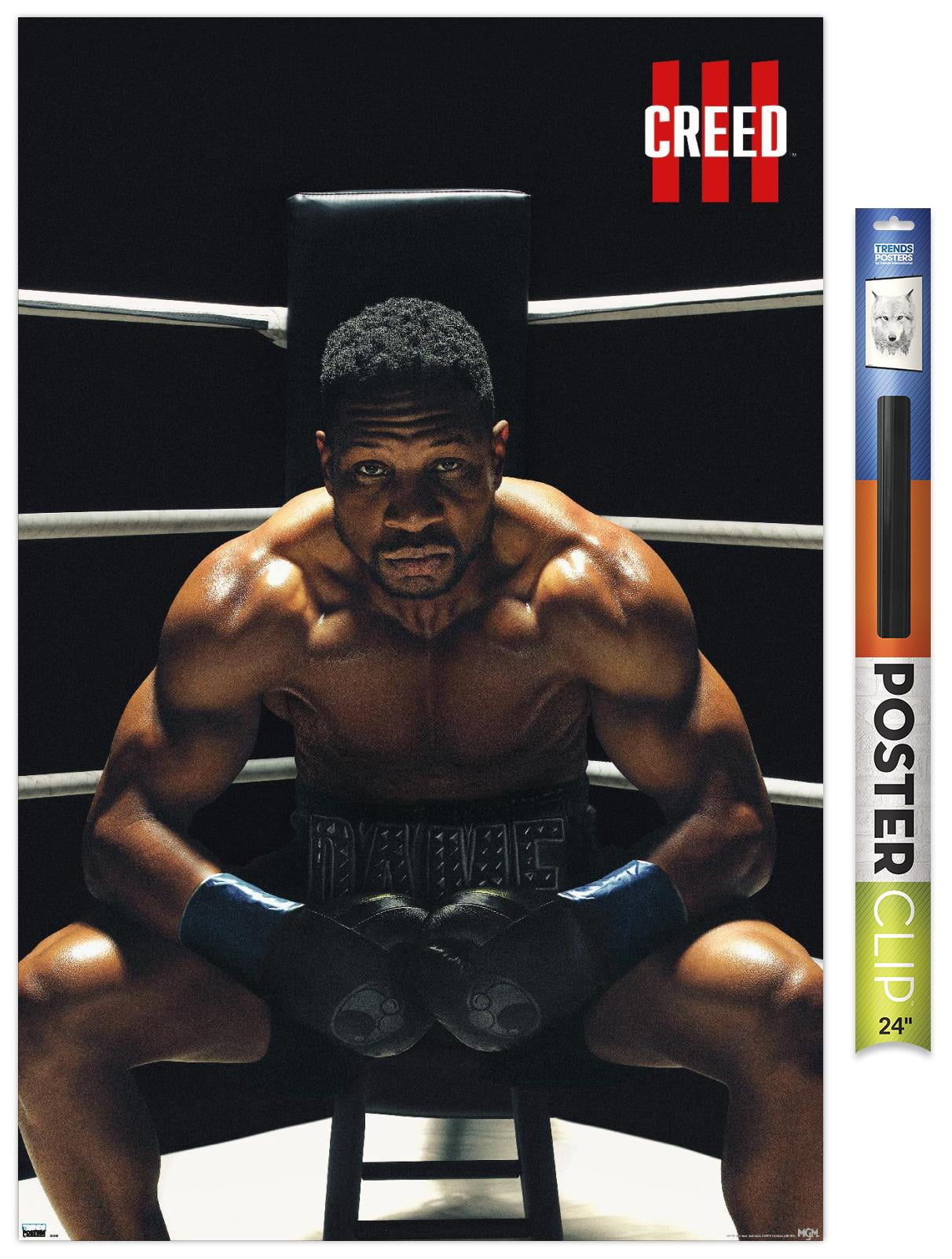 Creed III - Damian One Sheet Wall Poster, 22.375" x 34" - Walmart.com